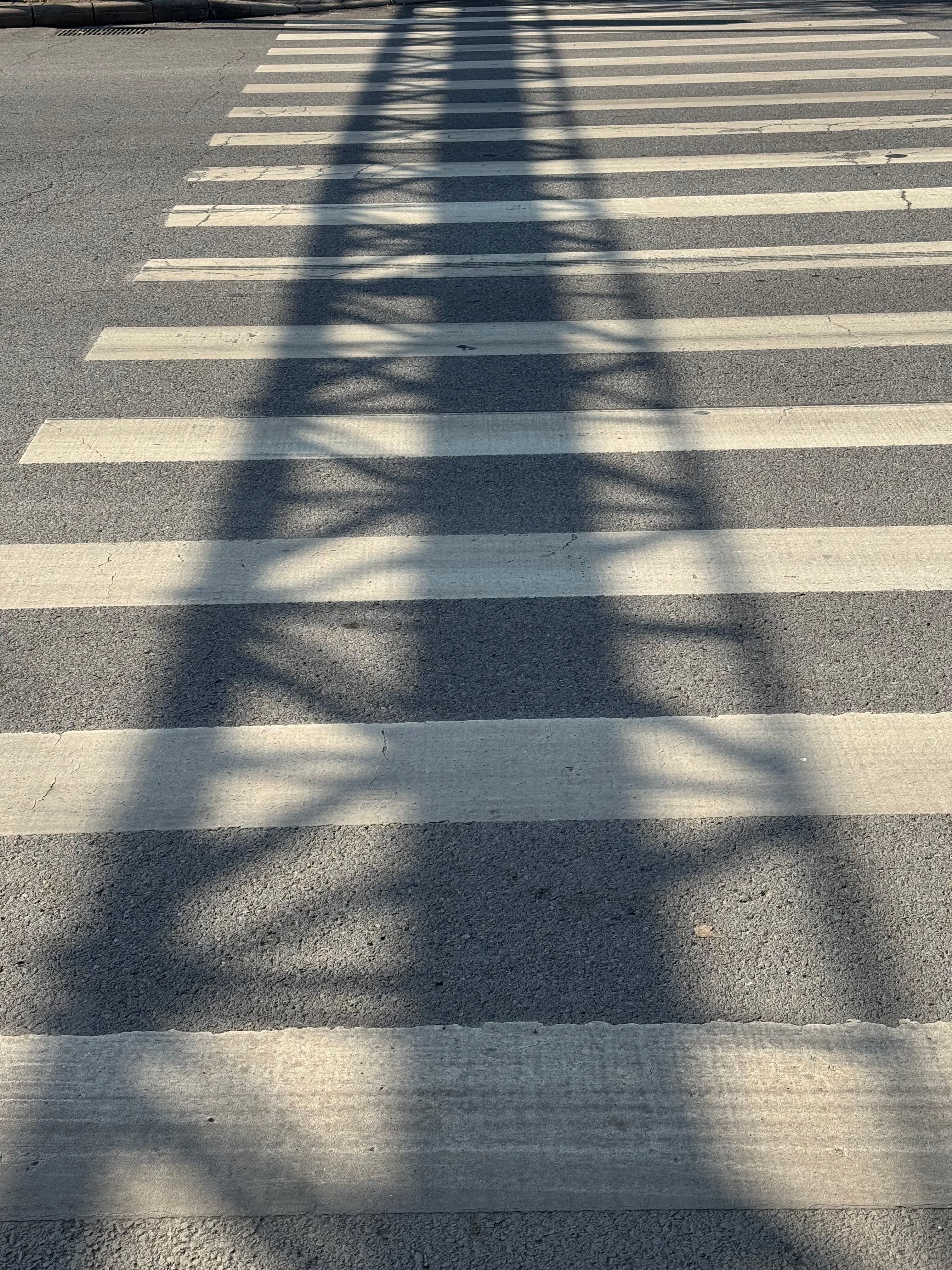 Shadow Pattern on Urban Crosswalk · Free Stock Photo