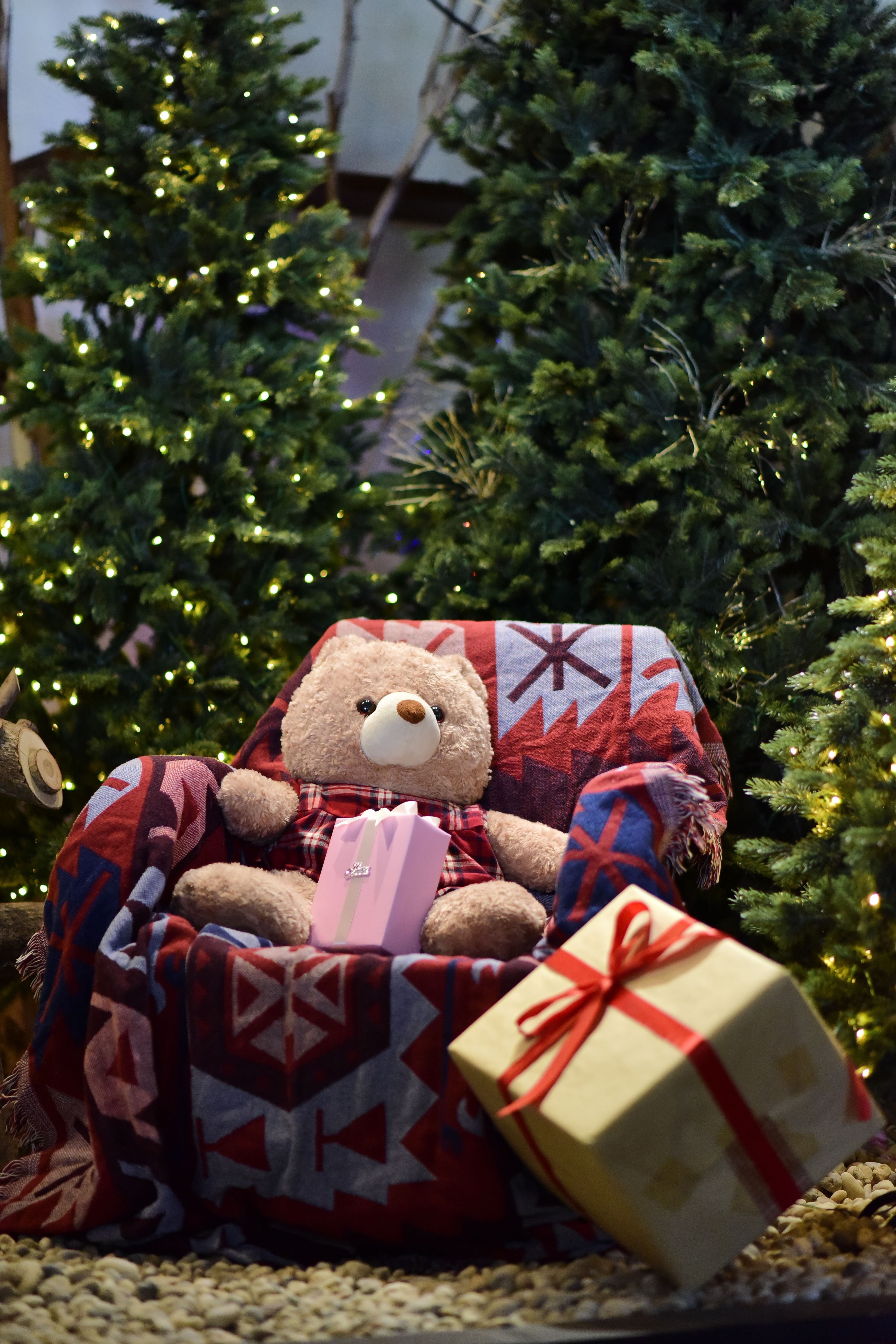Cozy Christmas Scene with Teddy Bear and Gifts · Free Stock Photo