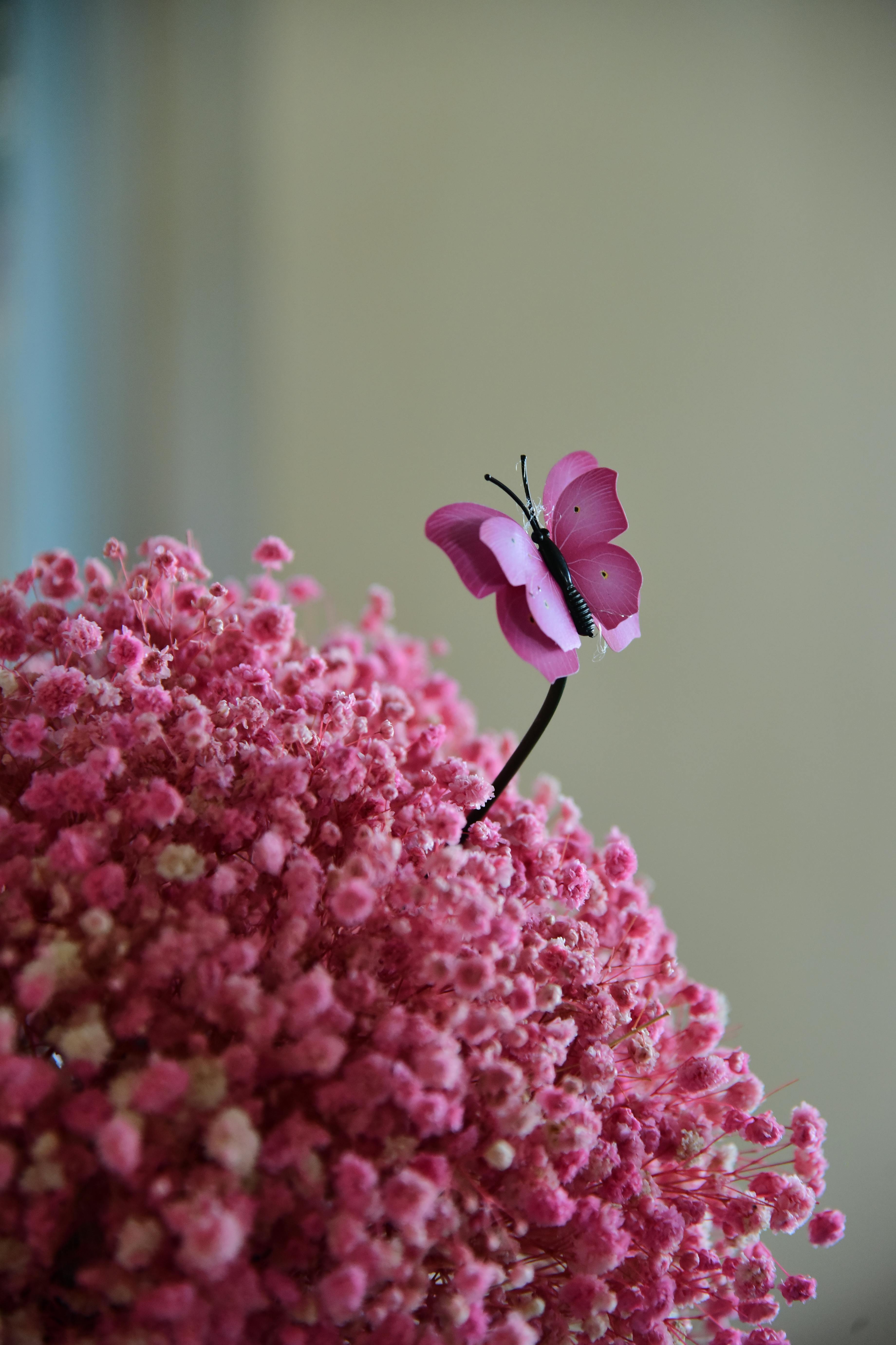 Close-up of Pink Artificial Butterfly on Pink Flowers · Free Stock Photo