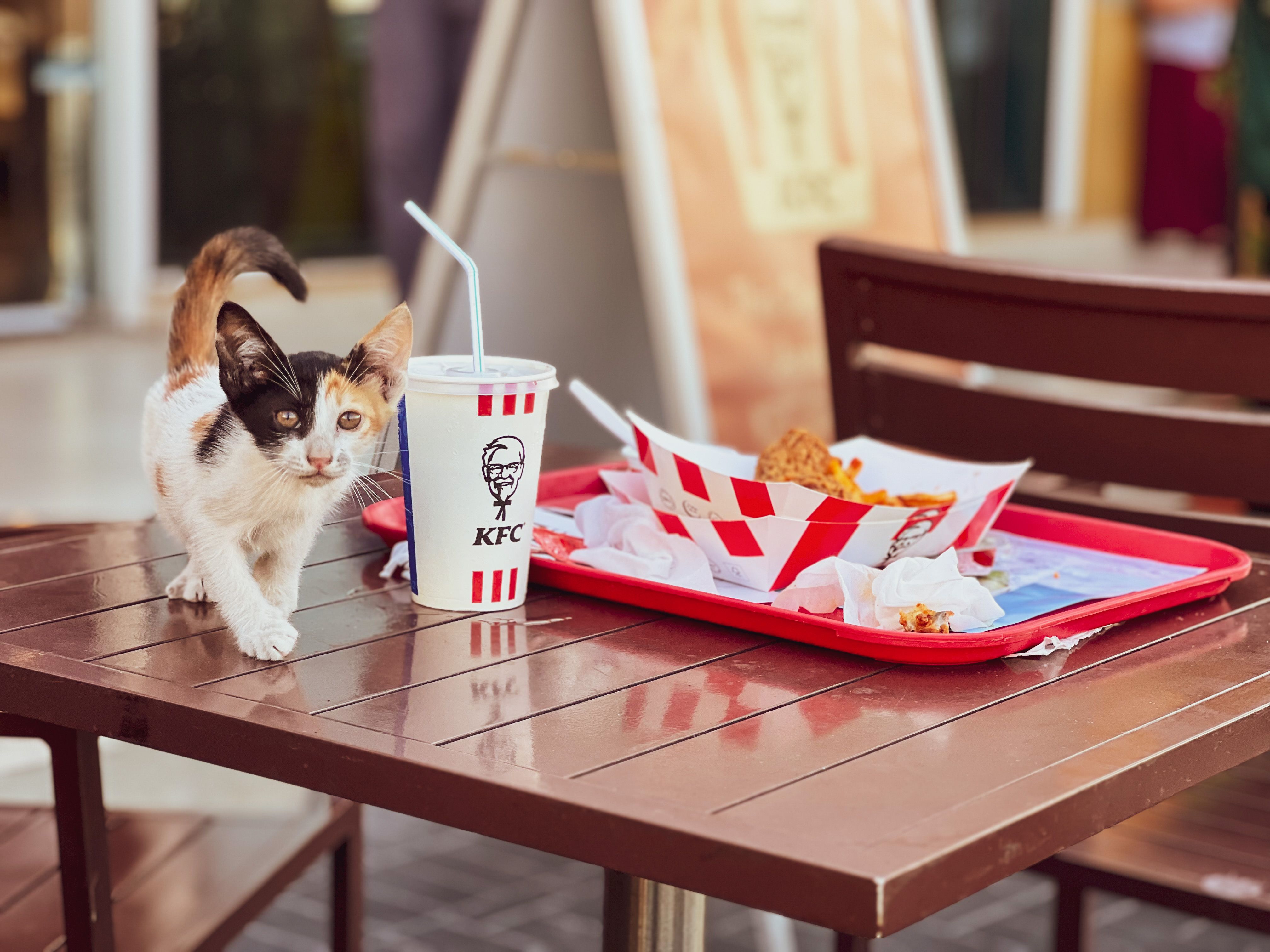 Kfc Table Photos, Download The BEST Free Kfc Table Stock Photos & HD Images