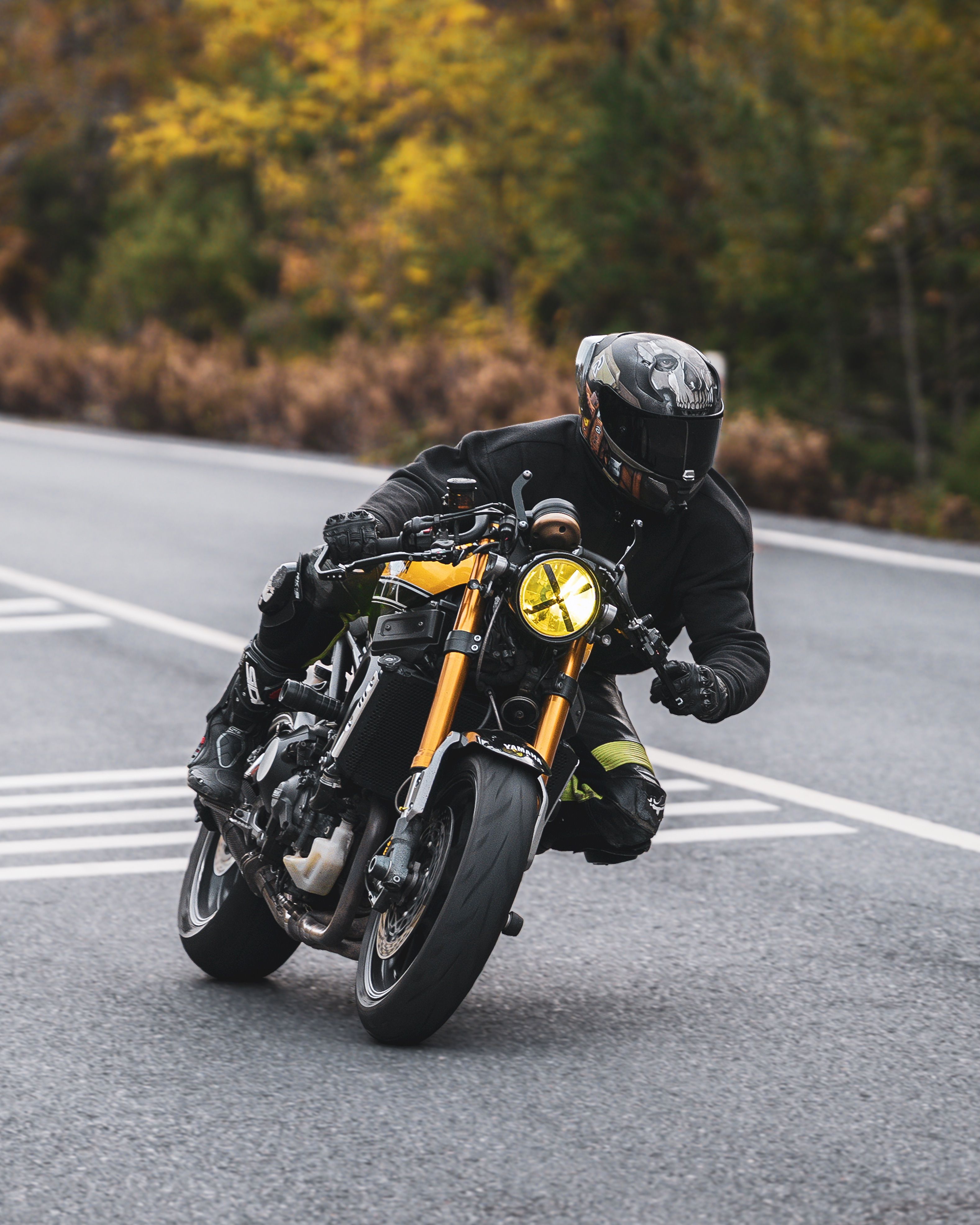 Dynamic Motorcycle Ride Through Scenic Autumn Road · Free Stock Photo