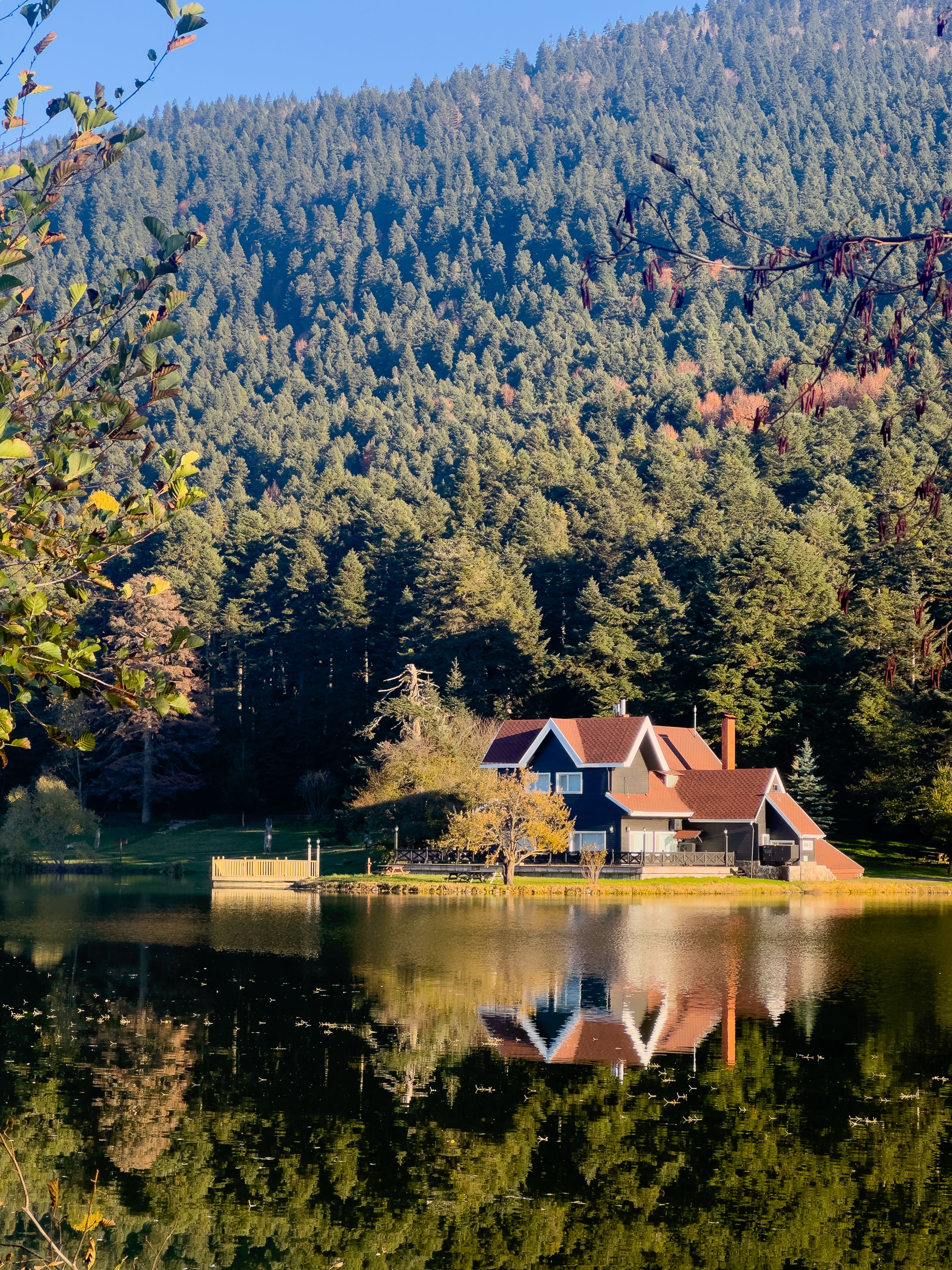 Scenic Forest Lake View in Bolu, Türkiye · Free Stock Photo