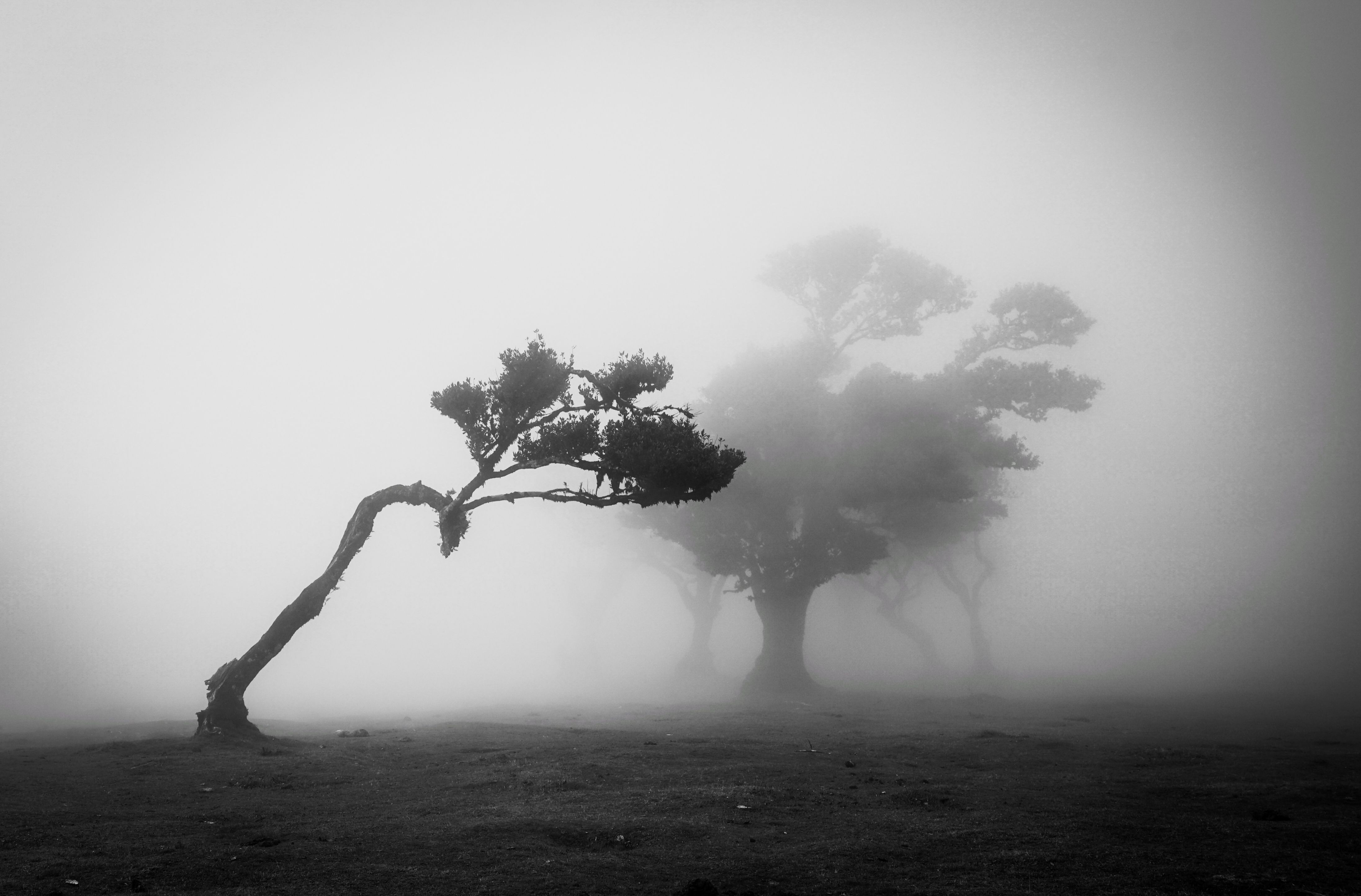 Eerie Landscape Photography