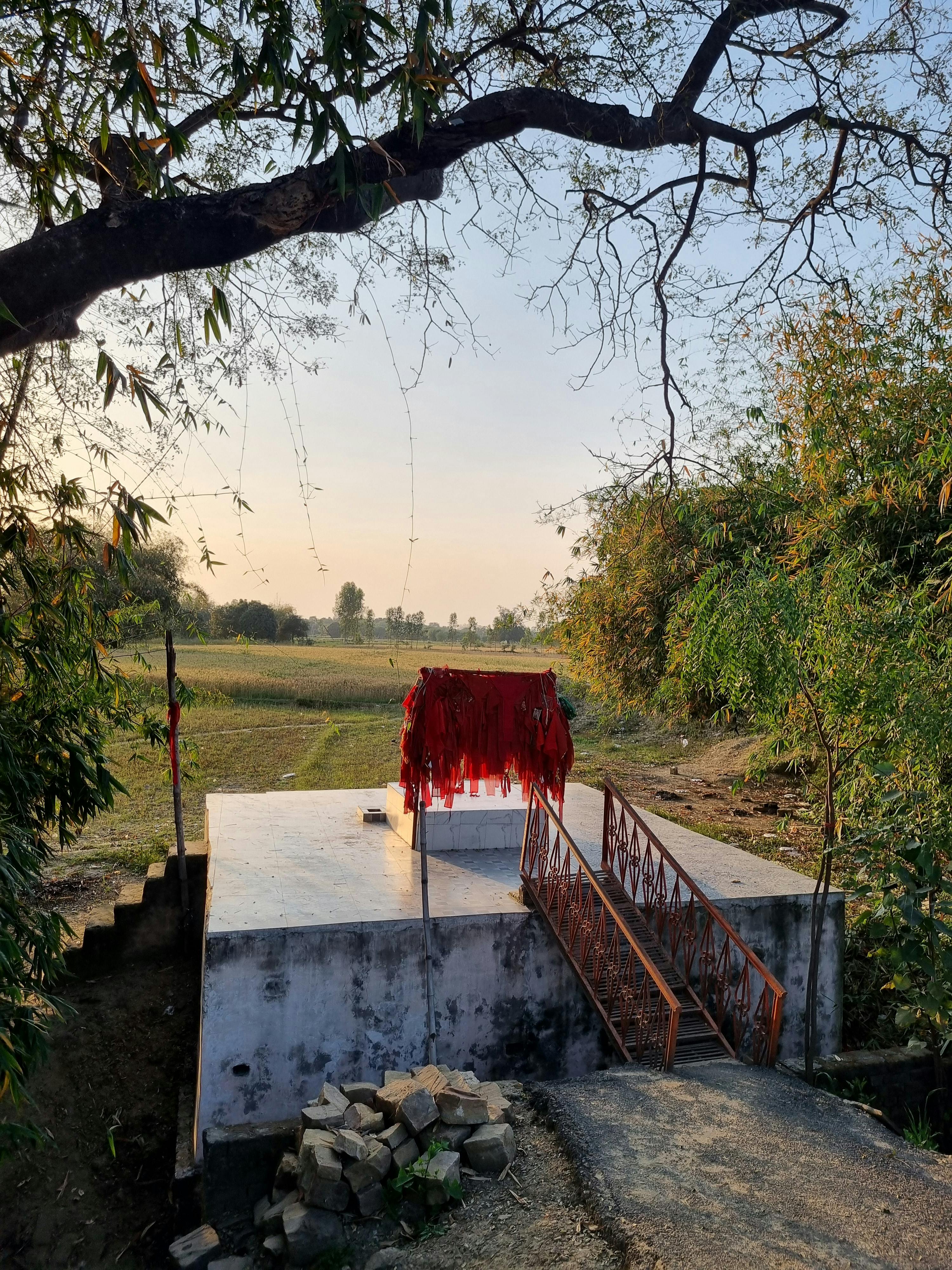 Everyone+Pointing+At+Wallpaper+Meme Photos, Download The BEST Free ...