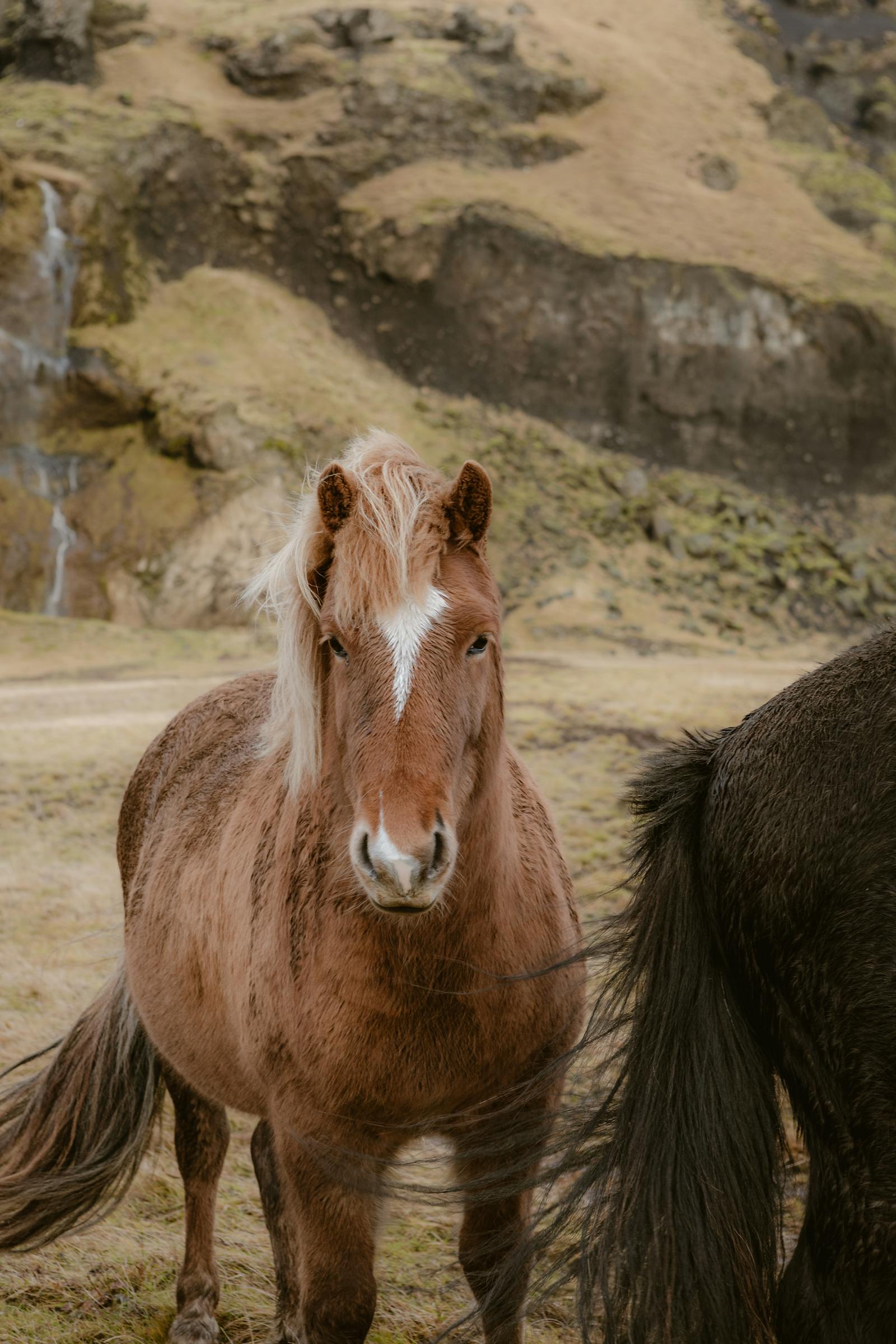 Free+Tuff+Pfp Photos, Download The BEST Free Free+Tuff+Pfp Stock Photos ...