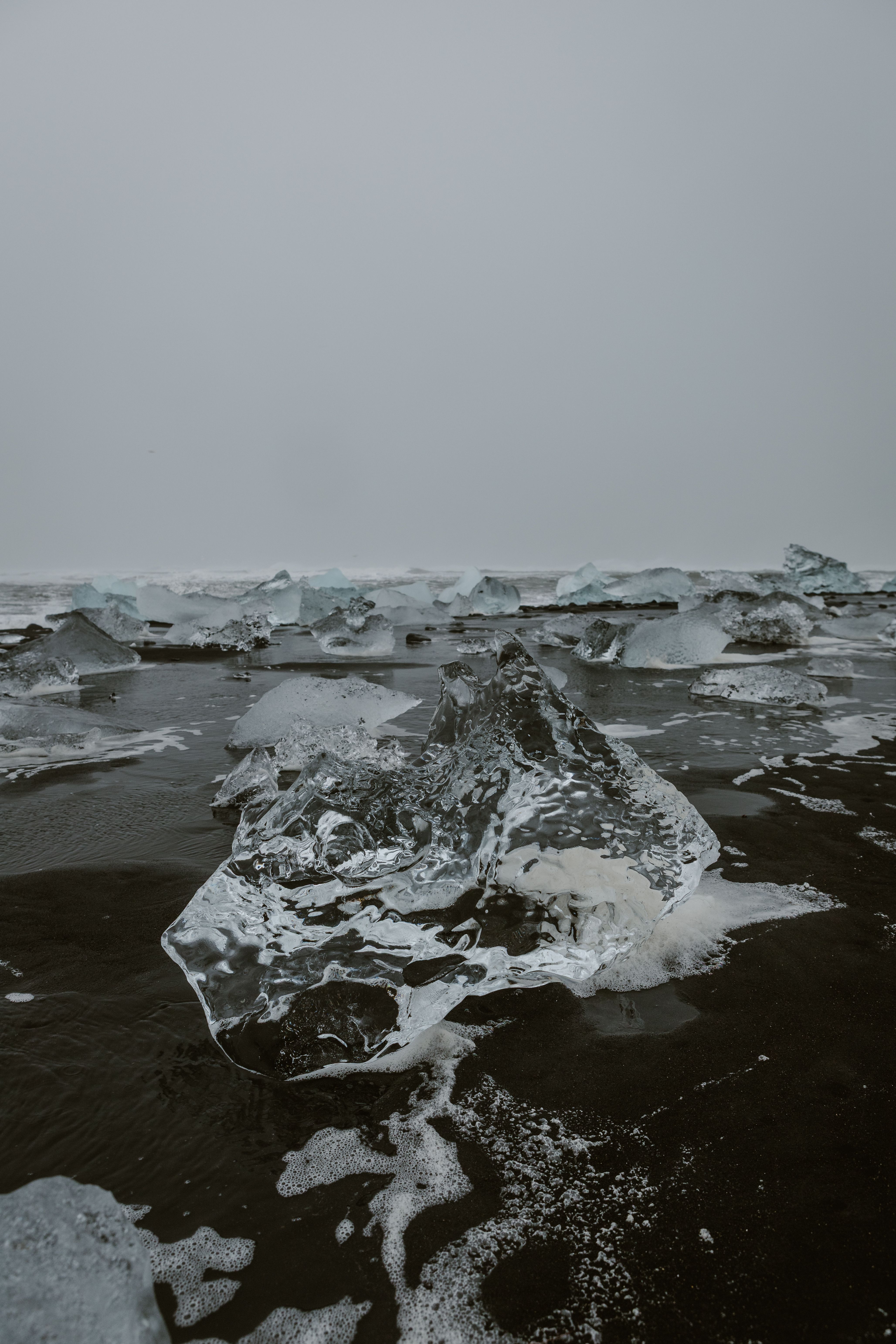 Icy Beach with Scattered Icebergs Under Moody Sky · Free Stock Photo