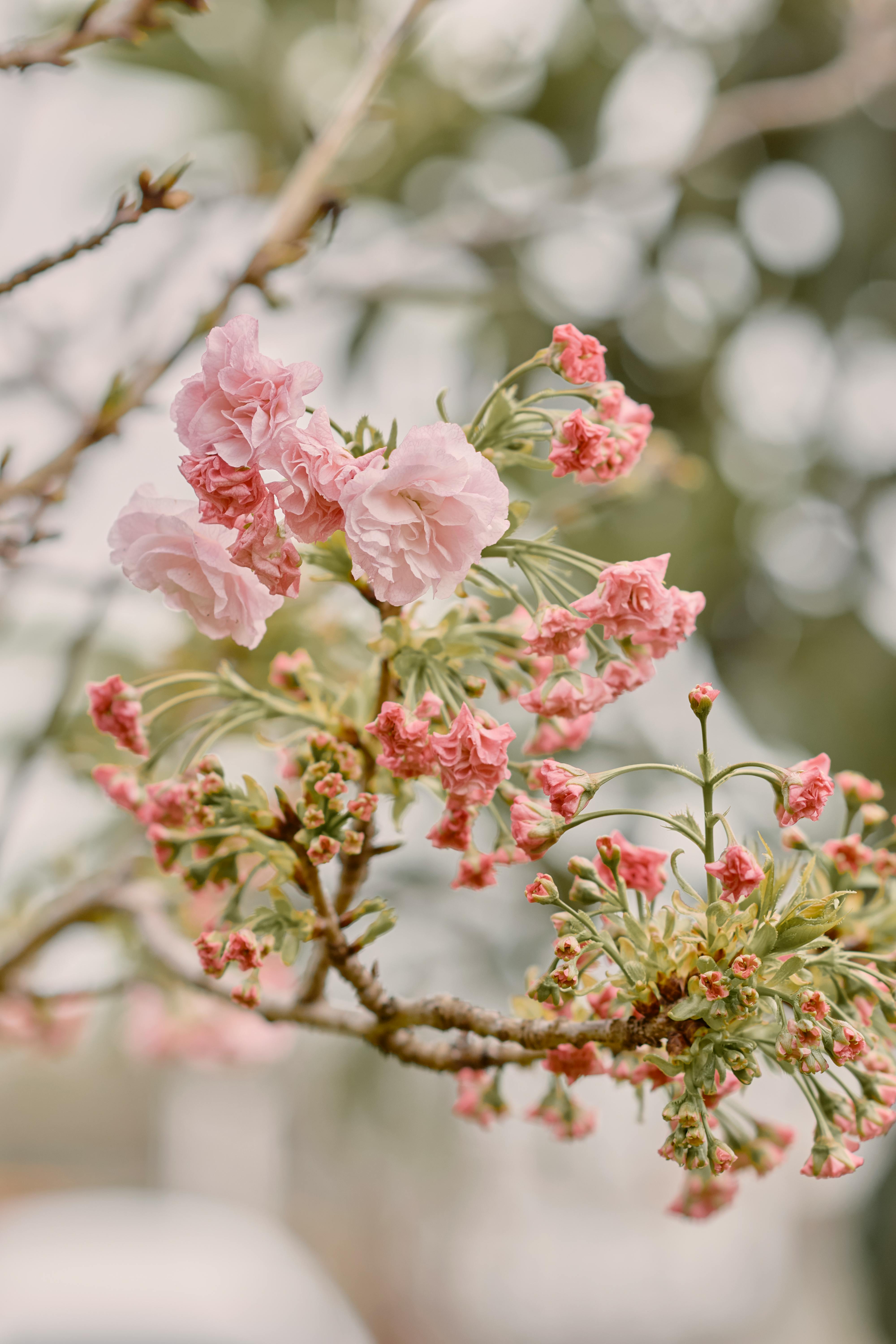 92.960+ Fotos y Imágenes de Fka twigs Gratis · Banco de Fotos Gratis