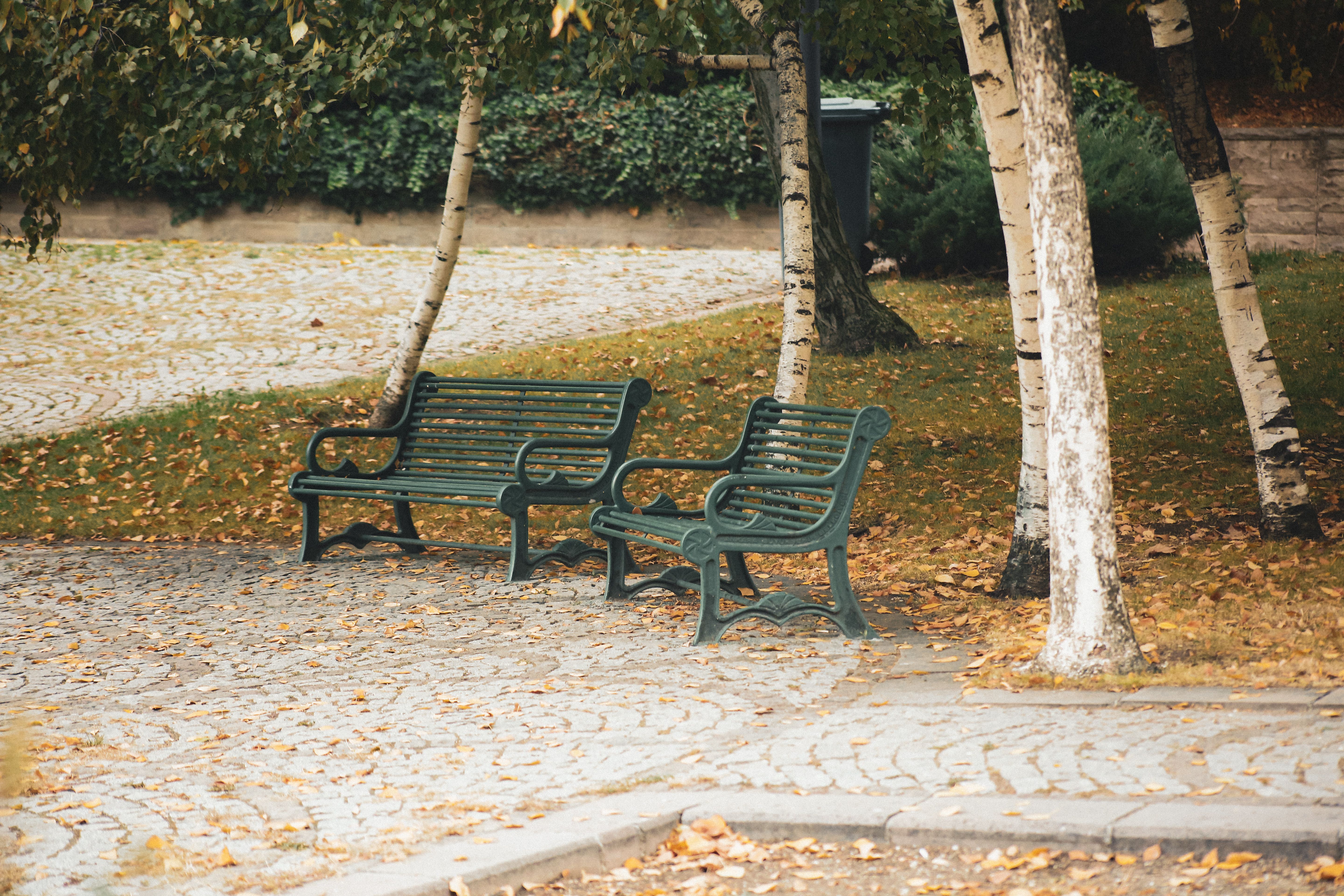 Peaceful Park Bench in Autumn Setting · Free Stock Photo