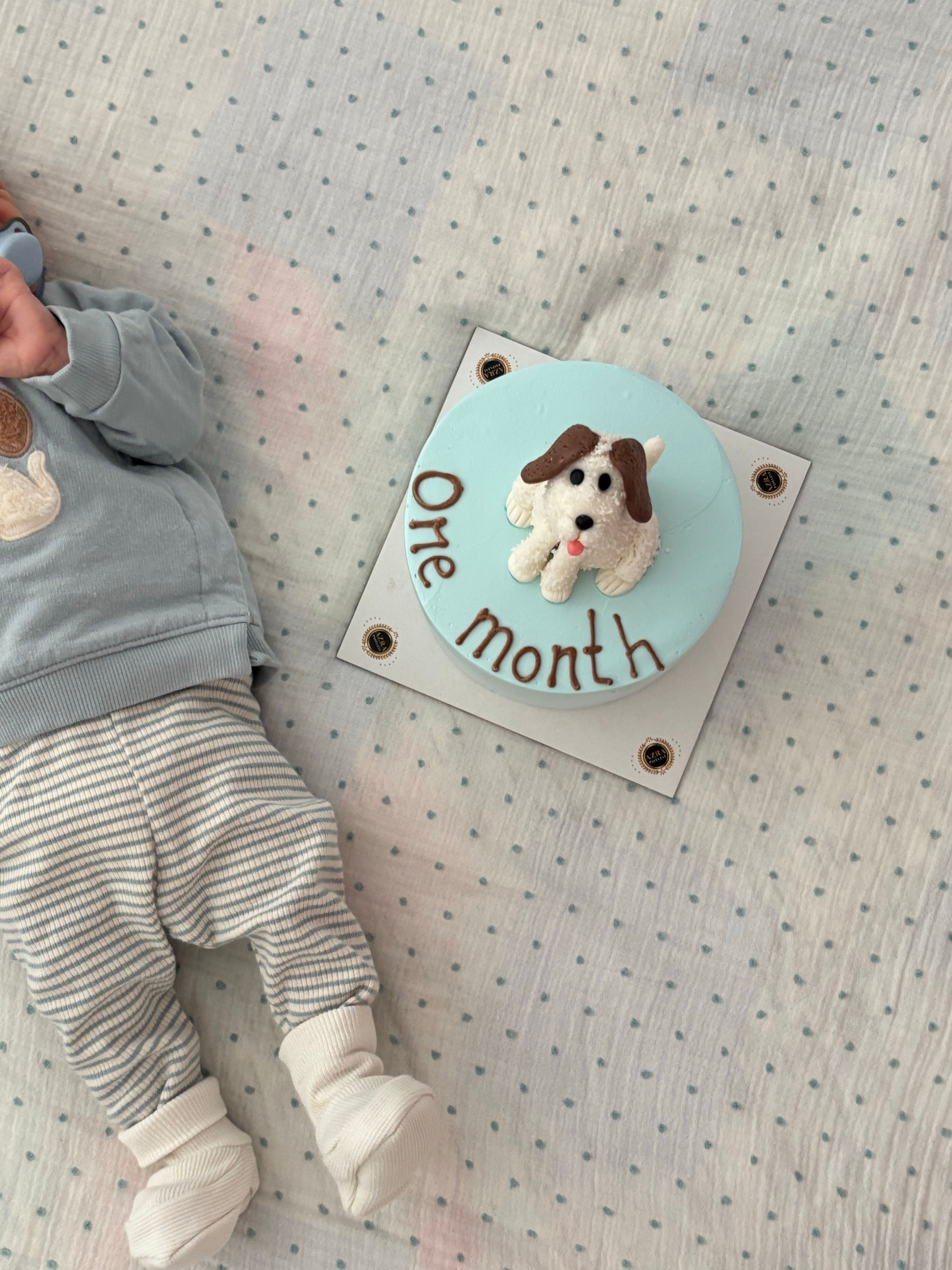 Adorable Baby with One Month Milestone Cake · Free Stock Photo