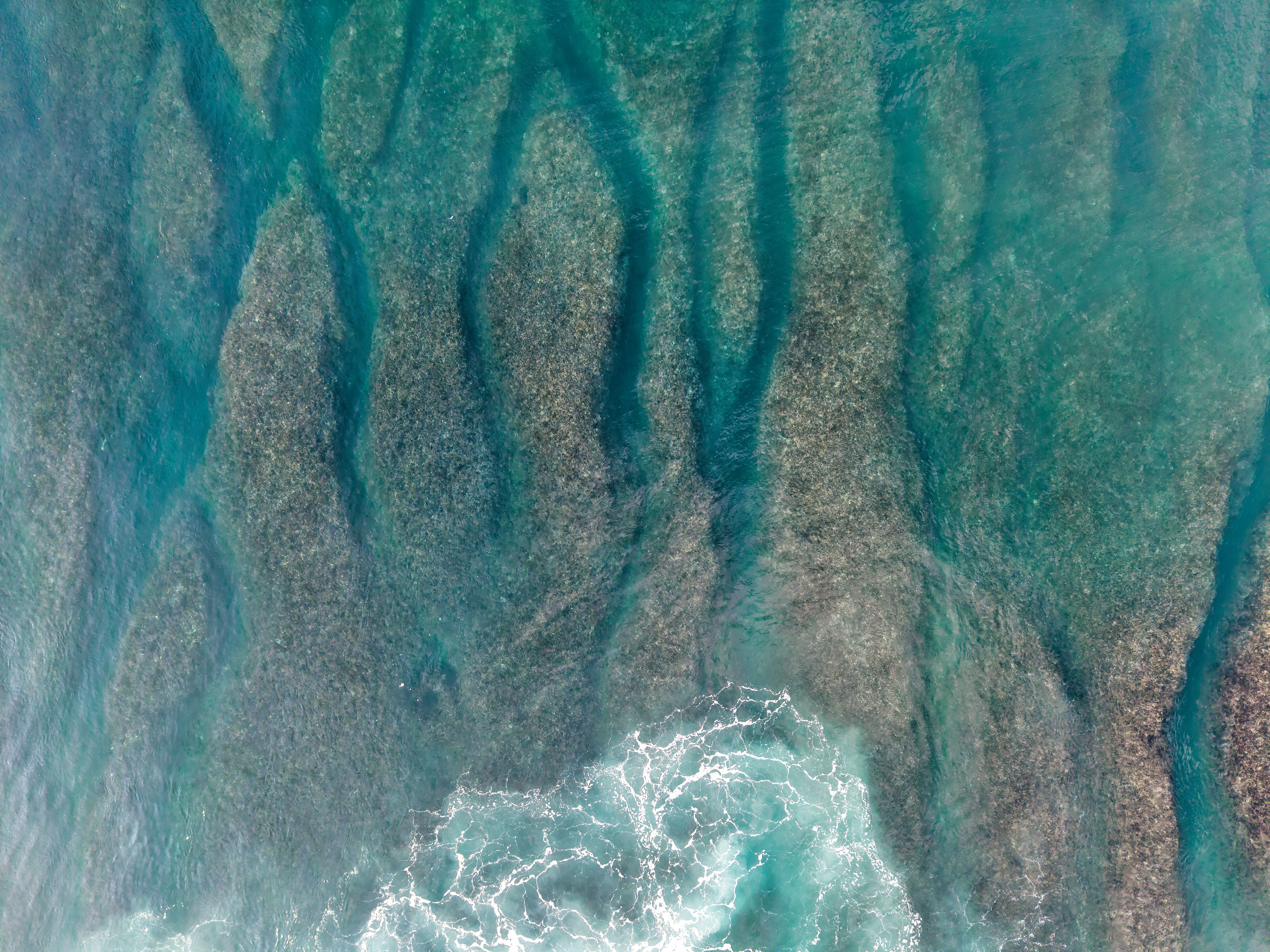 Underwater+Cab Photos, Download The BEST Free Underwater+Cab Stock ...