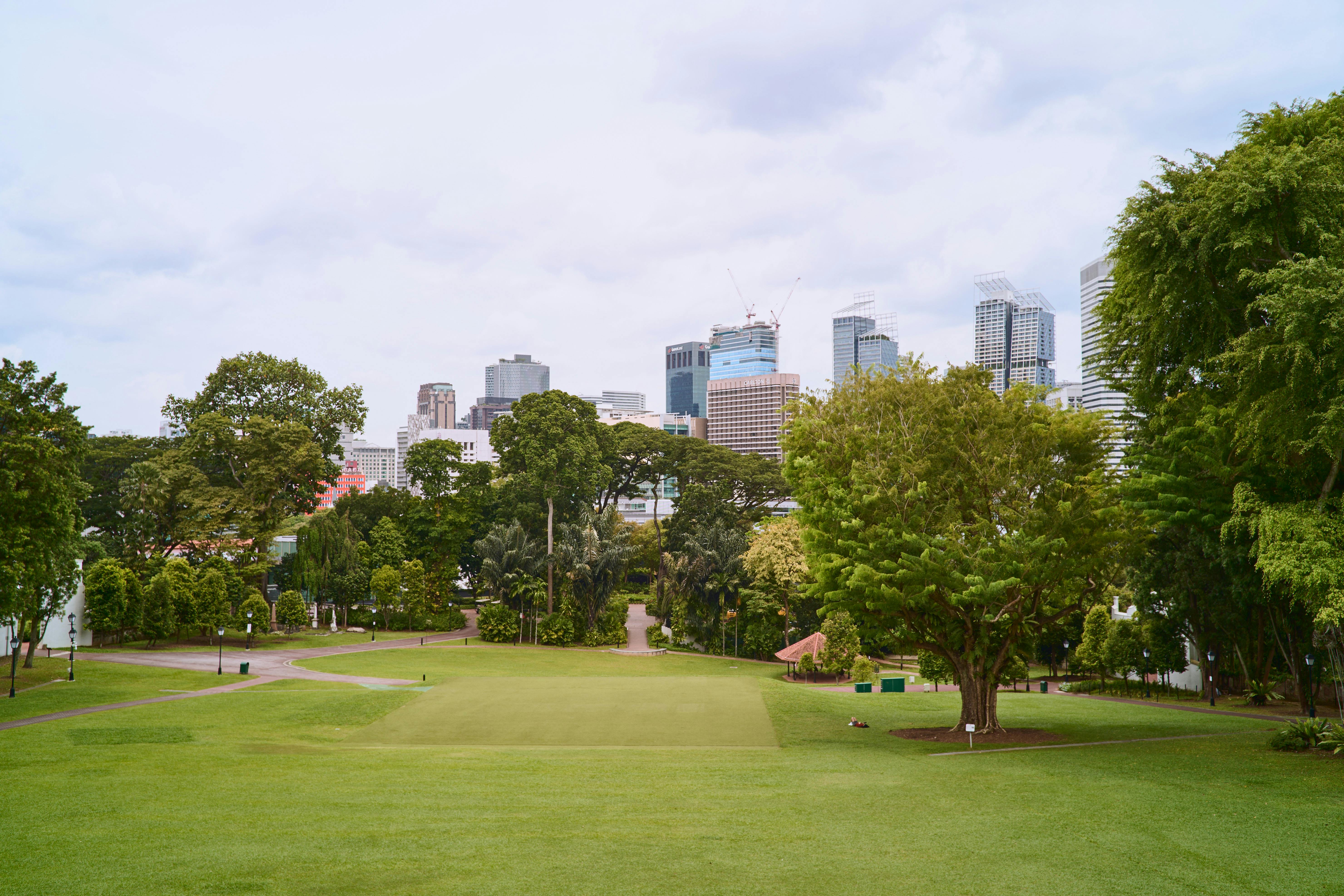Lush Urban Golf Course with City Skyline · Free Stock Photo