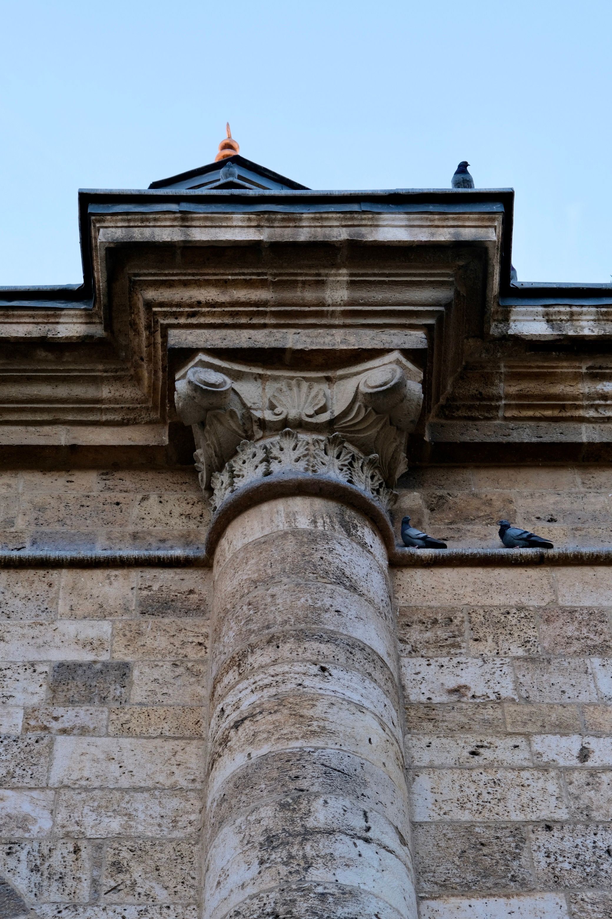 Stone Column with Pigeons on Historical Building · Free Stock Photo