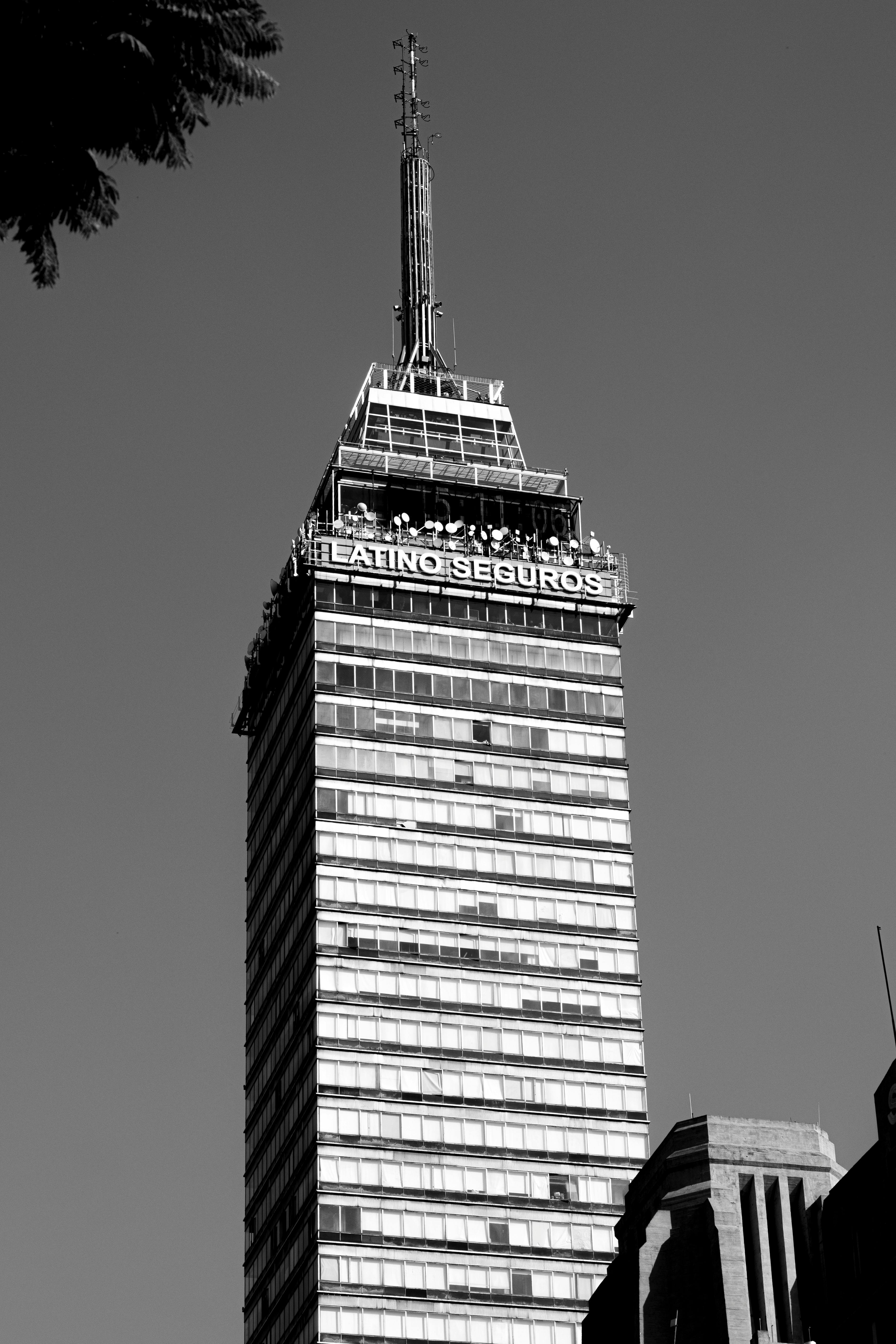 1.000.000+ melhores imagens de Frida-kahlo-20-fotos-que-narran-la ...