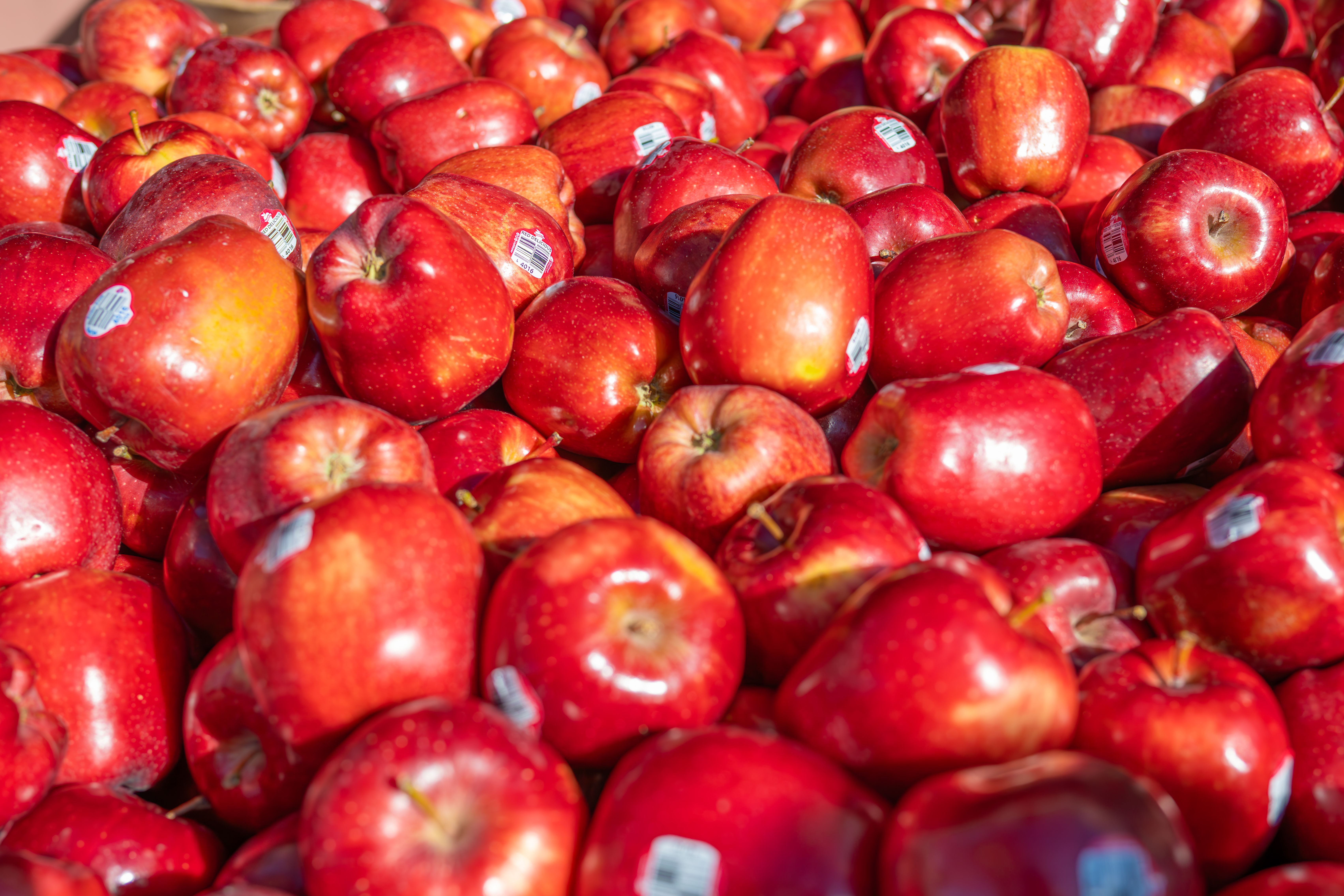 Fresh Red Apples on Display at Market · Free Stock Photo