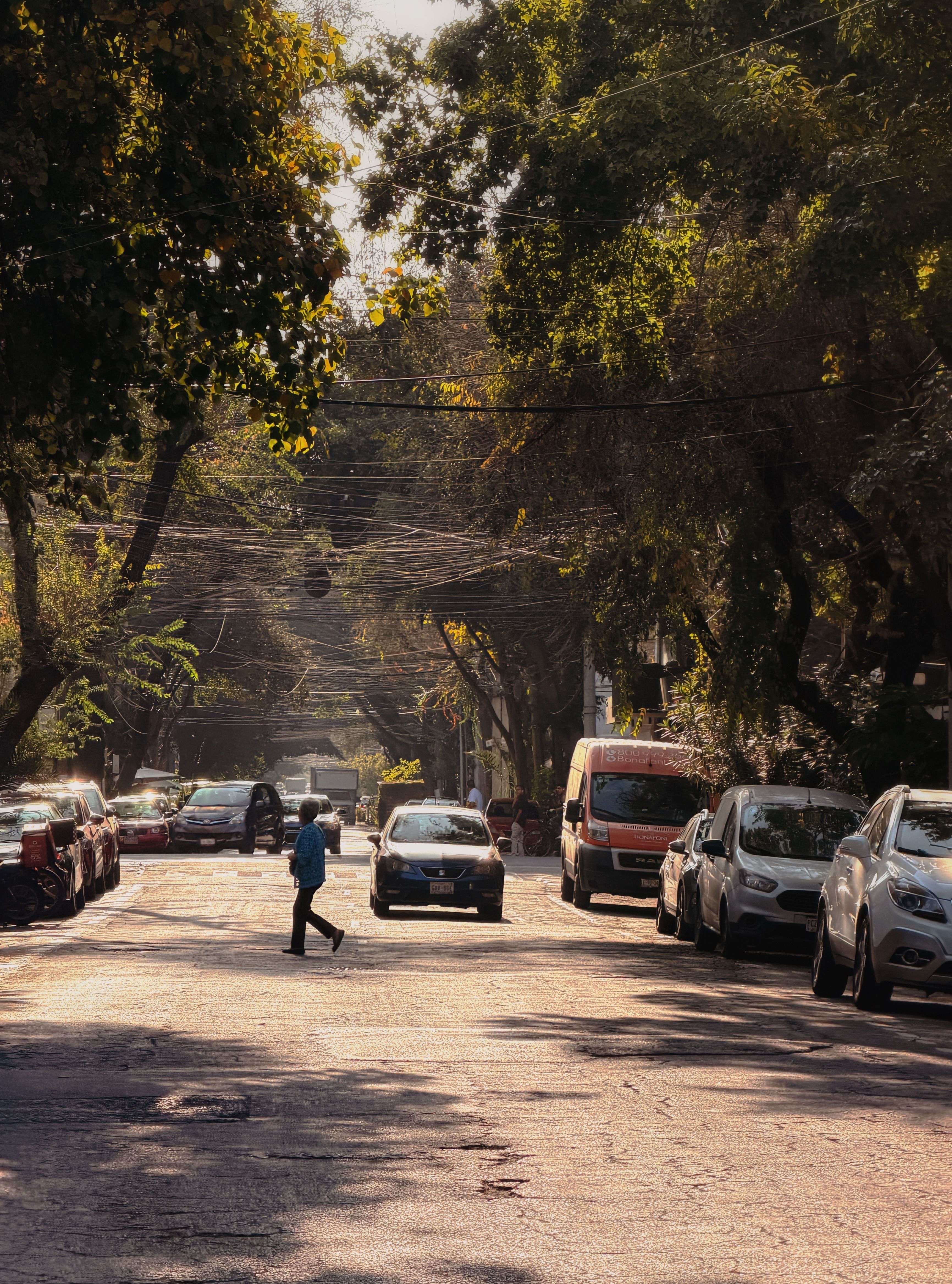 Quiet Tree-Lined Street with Cars and Pedestrian · Free Stock Photo