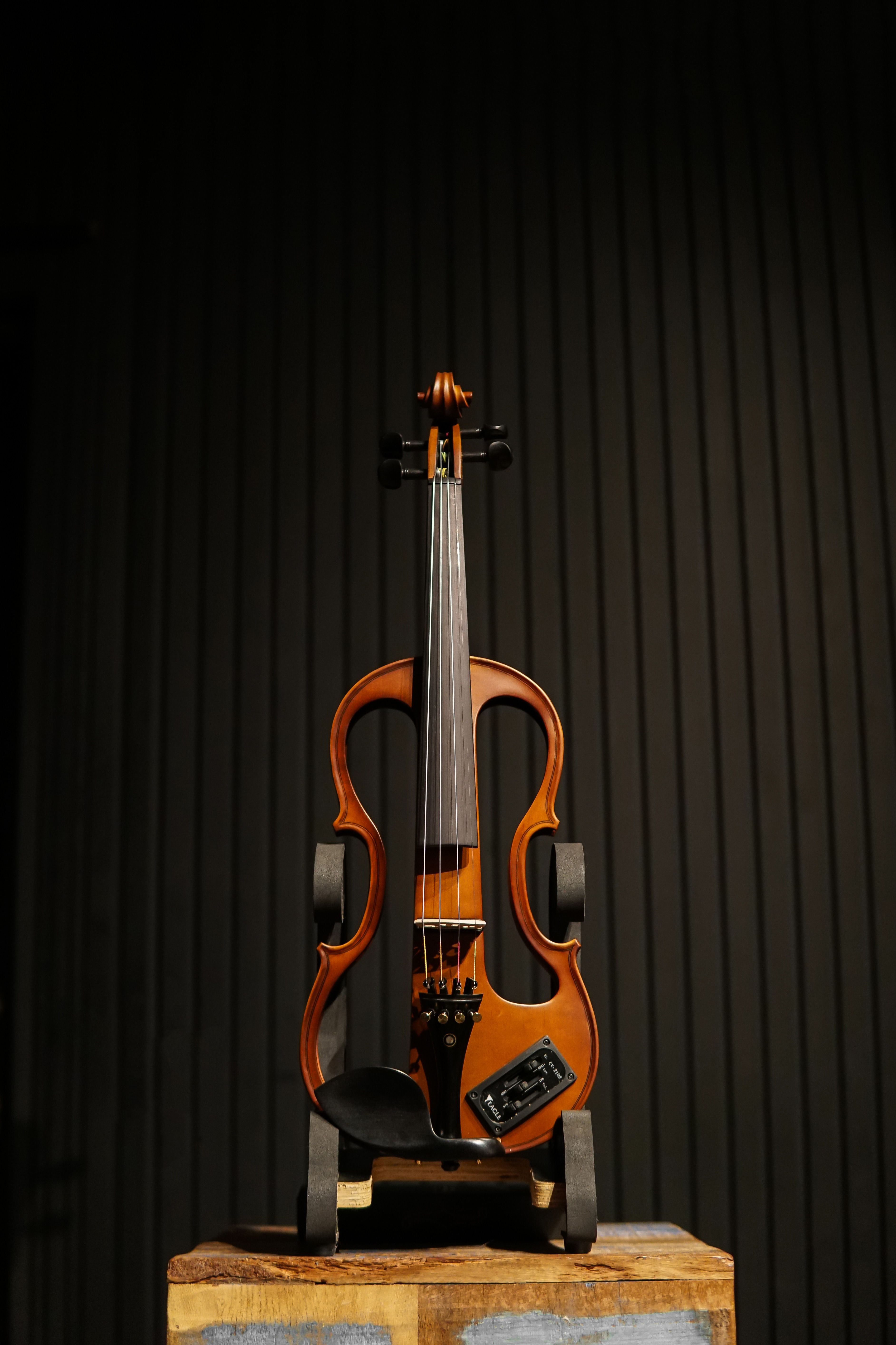 Elegant Violin on Wooden Stand against Dark Background · Free Stock Photo