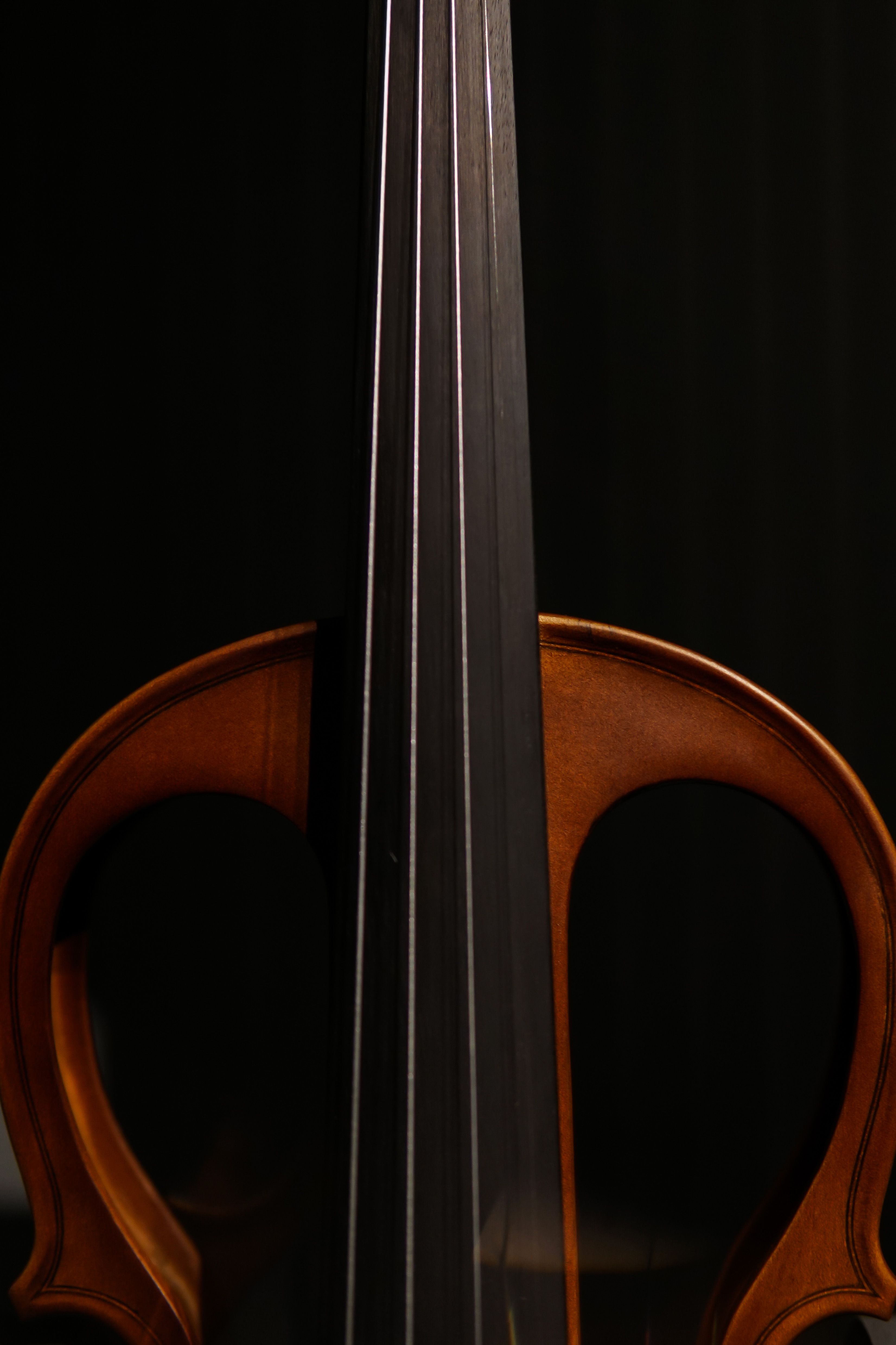 Violin Images Photos, Download The BEST Free Violin Images Stock Photos ...
