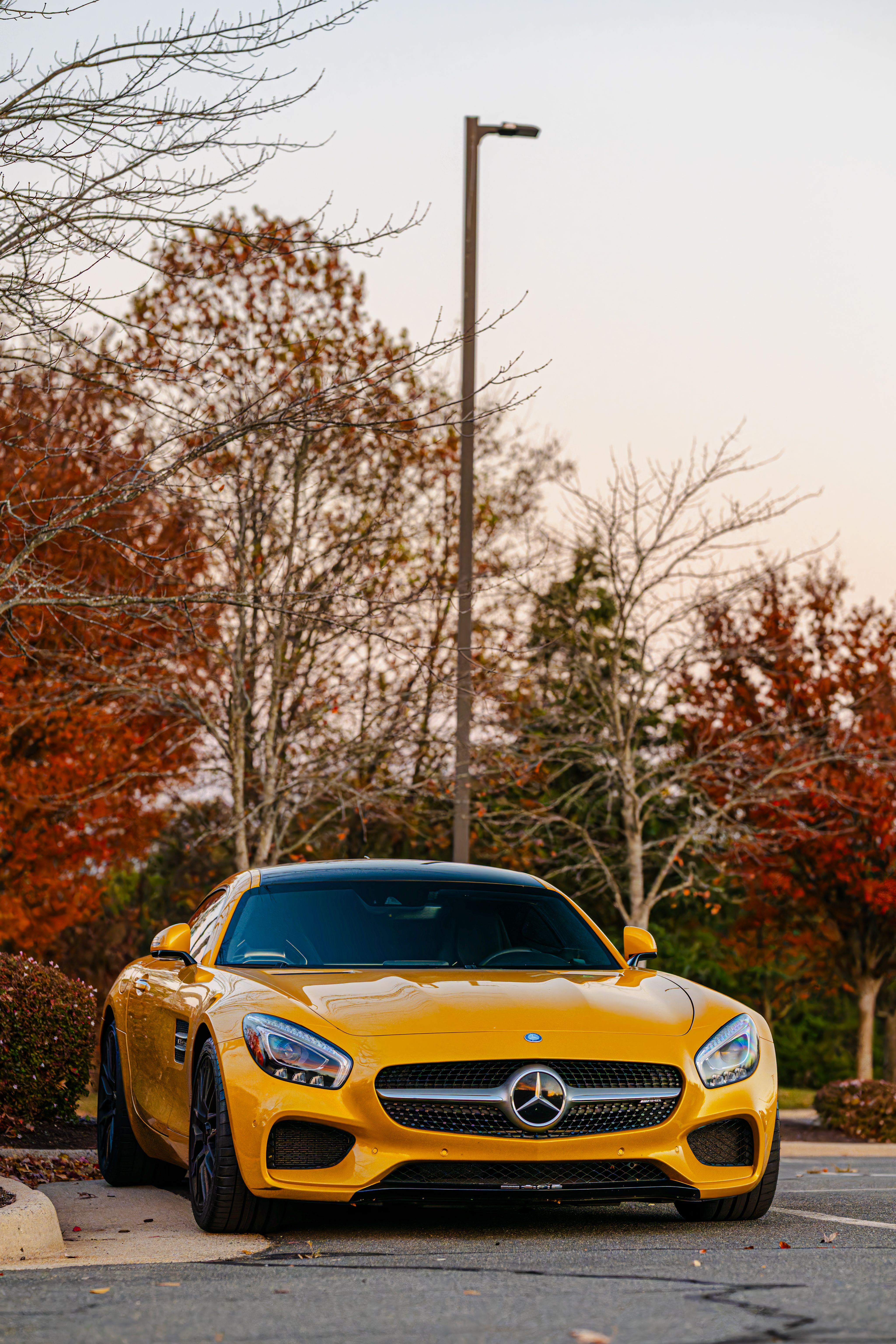 Luxury Yellow Mercedes amidst Autumn Leaves · Free Stock Photo
