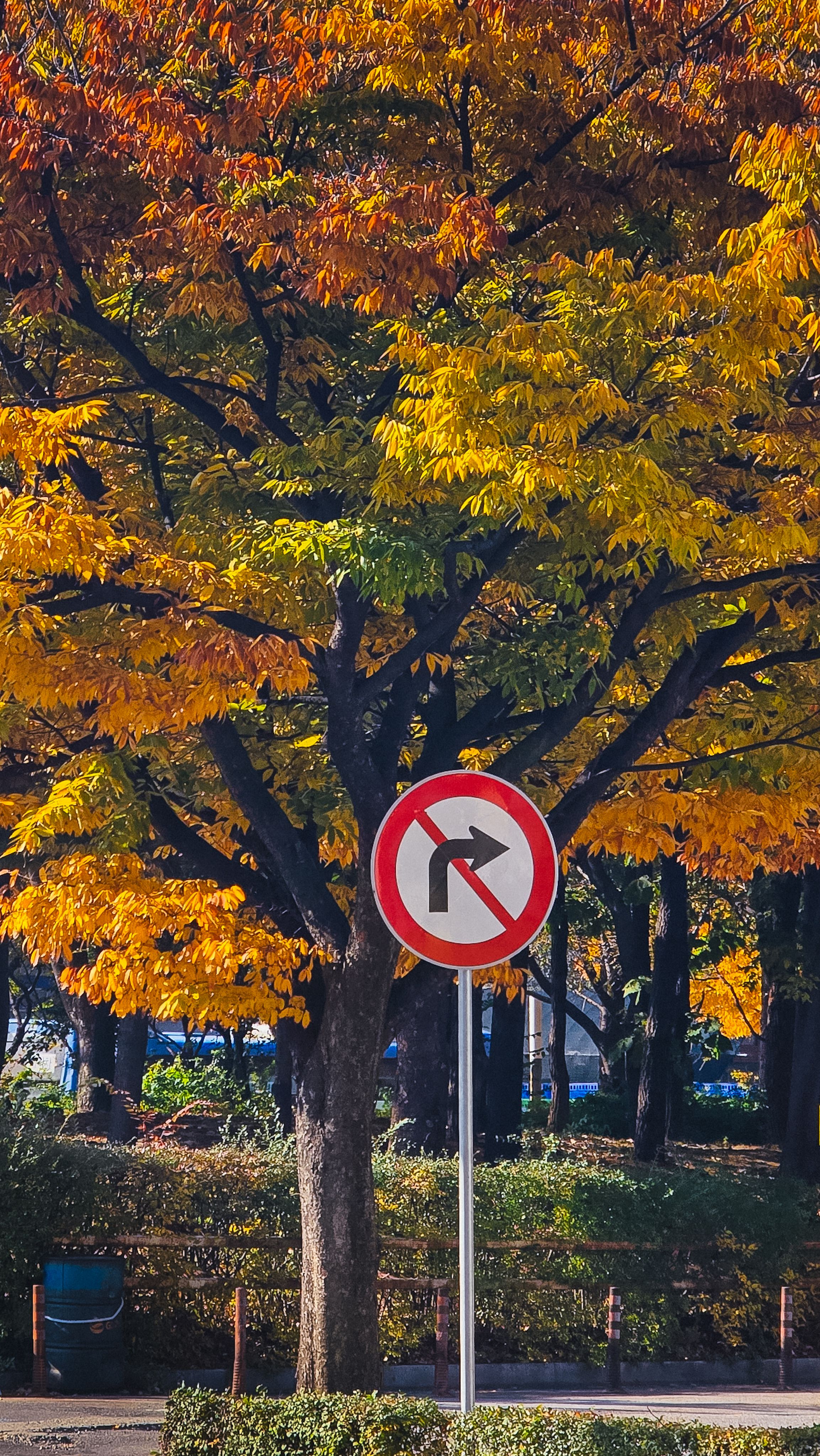 Right Photos, Download The BEST Free Right Stock Photos & HD Images