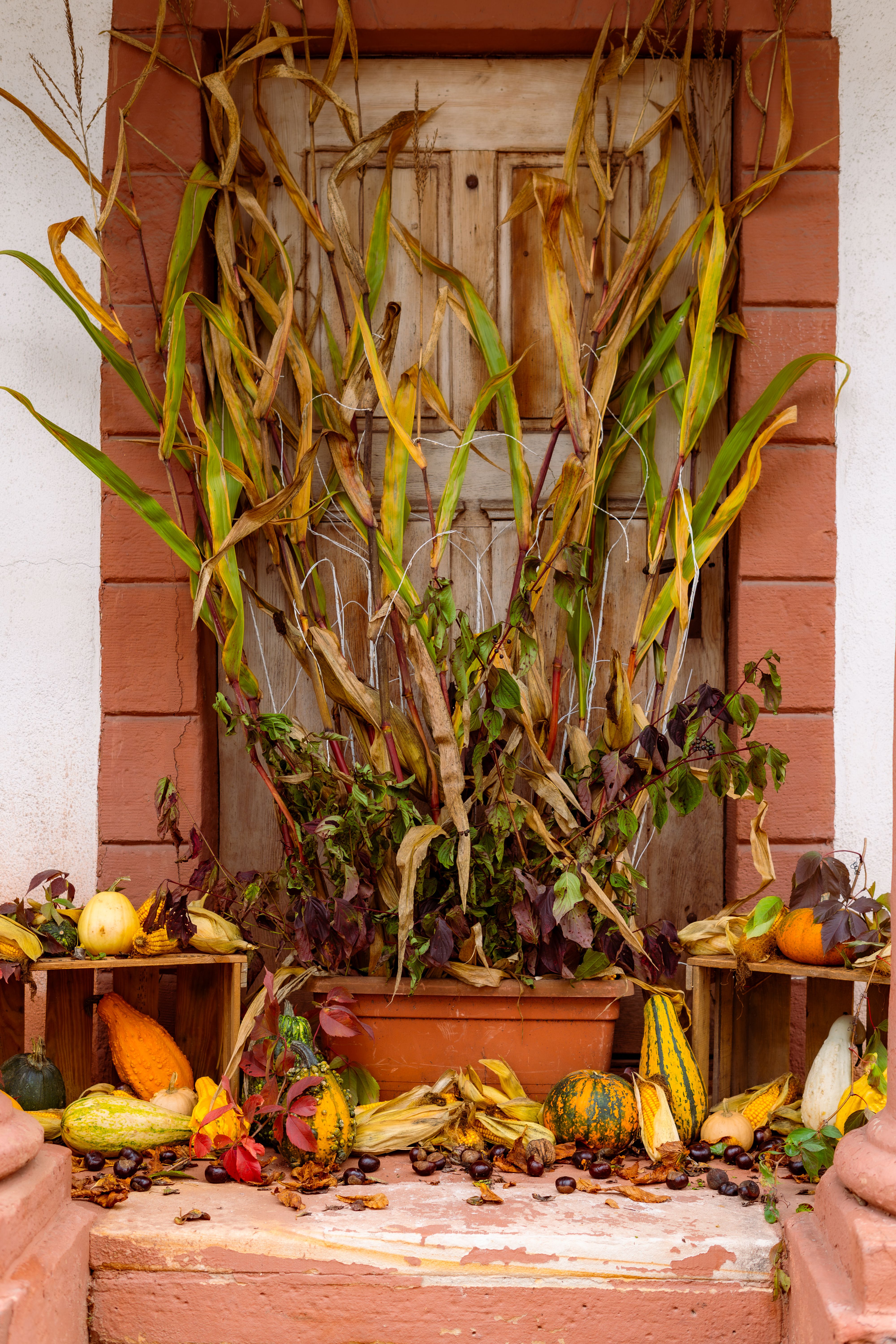 Rustic Fall Doorway with Harvest Decor · Free Stock Photo