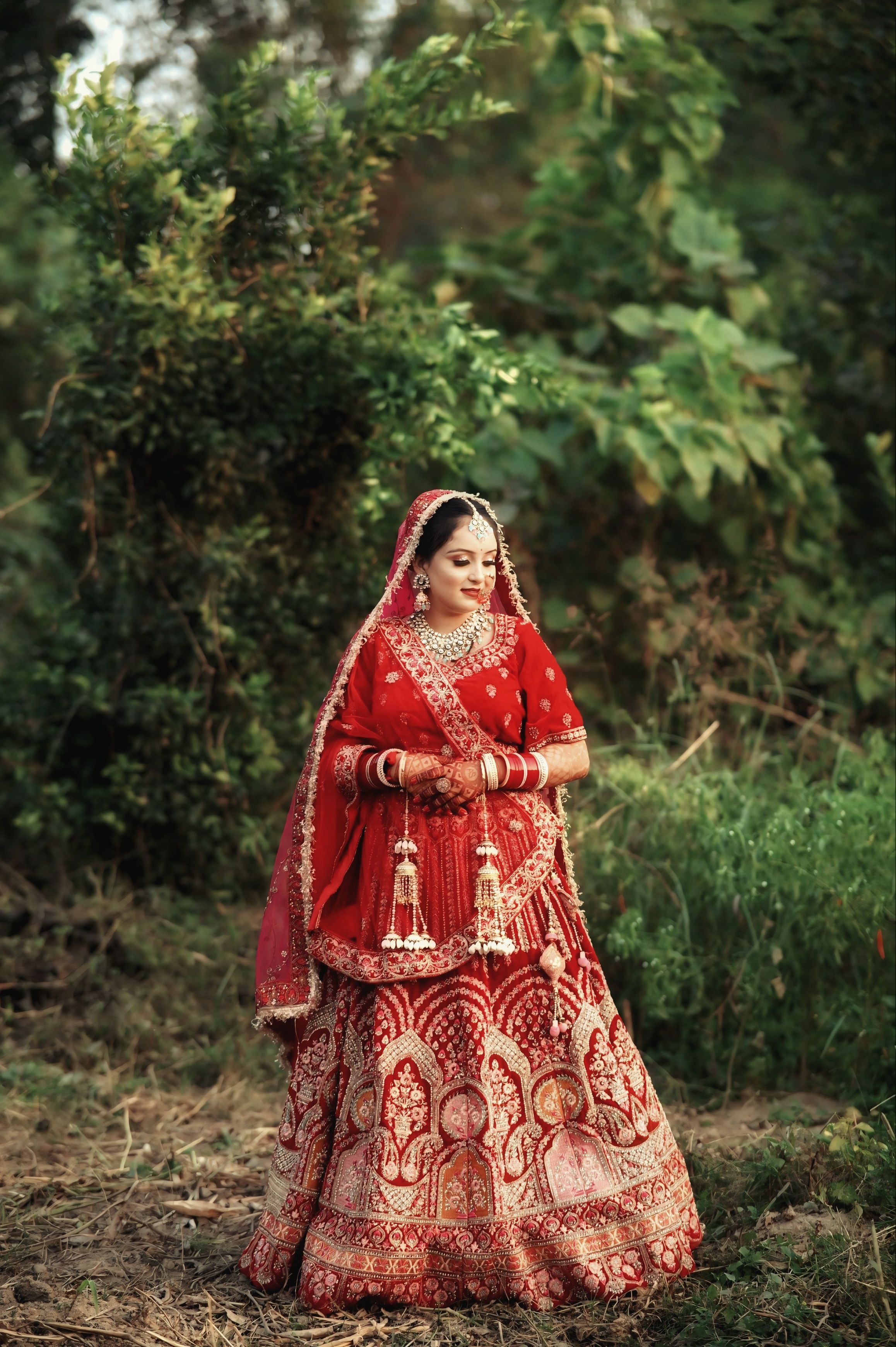 Heena+Mehendi Photos, Download The BEST Free Heena+Mehendi Stock Photos ...