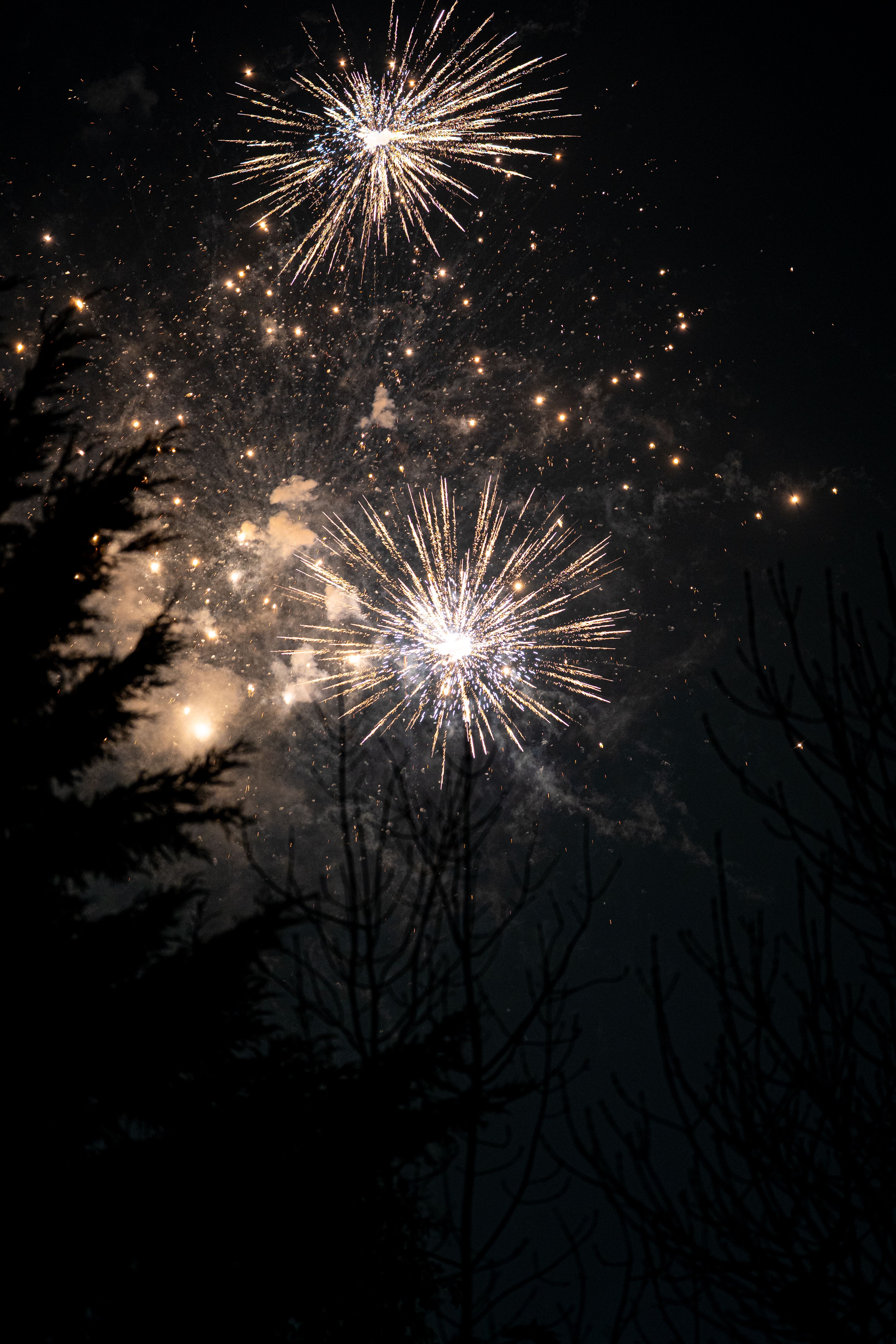 Vibrant Fireworks Display Over Snowy Forest · Free Stock Photo