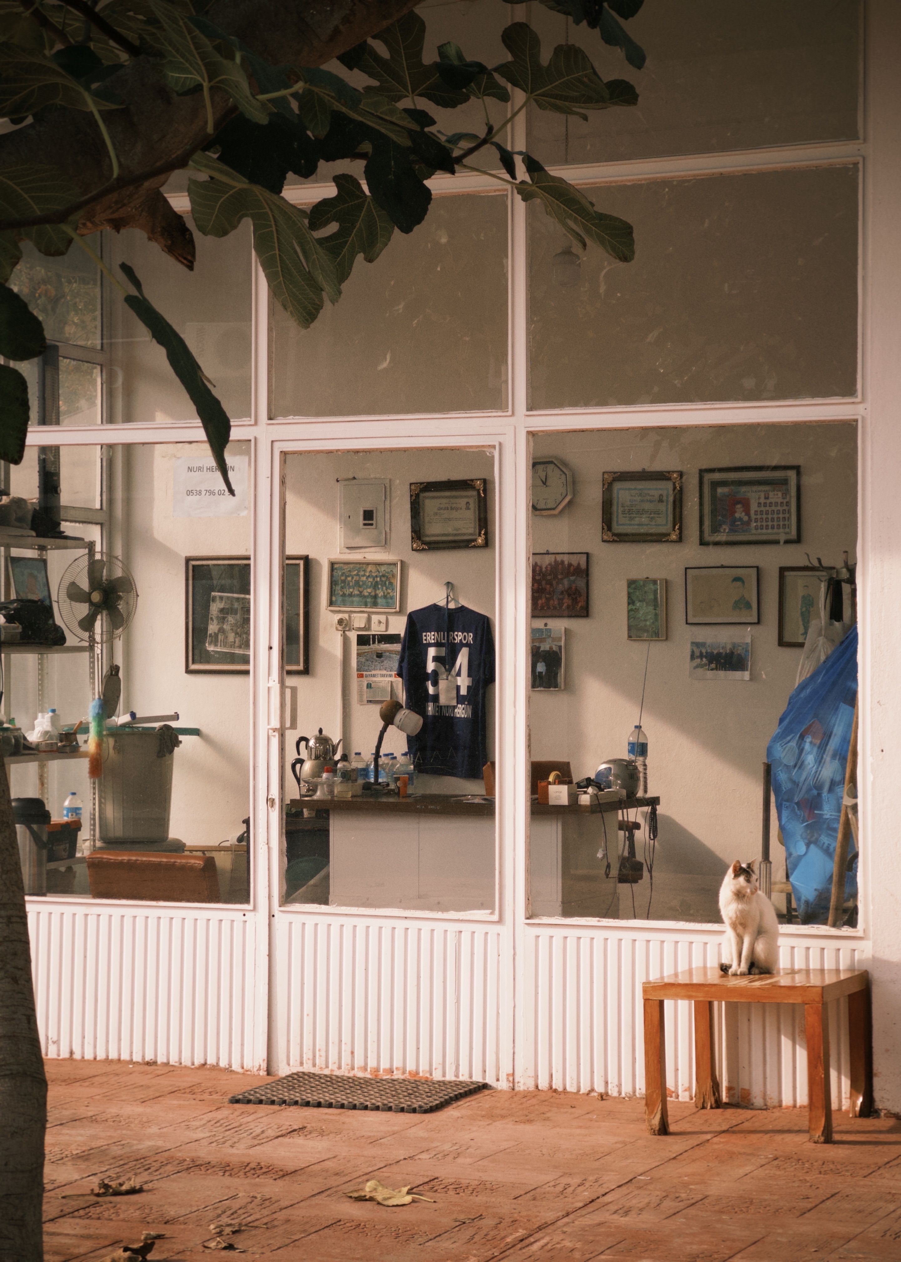 Cozy Workshop with Cat Sitting in Doorway · Free Stock Photo