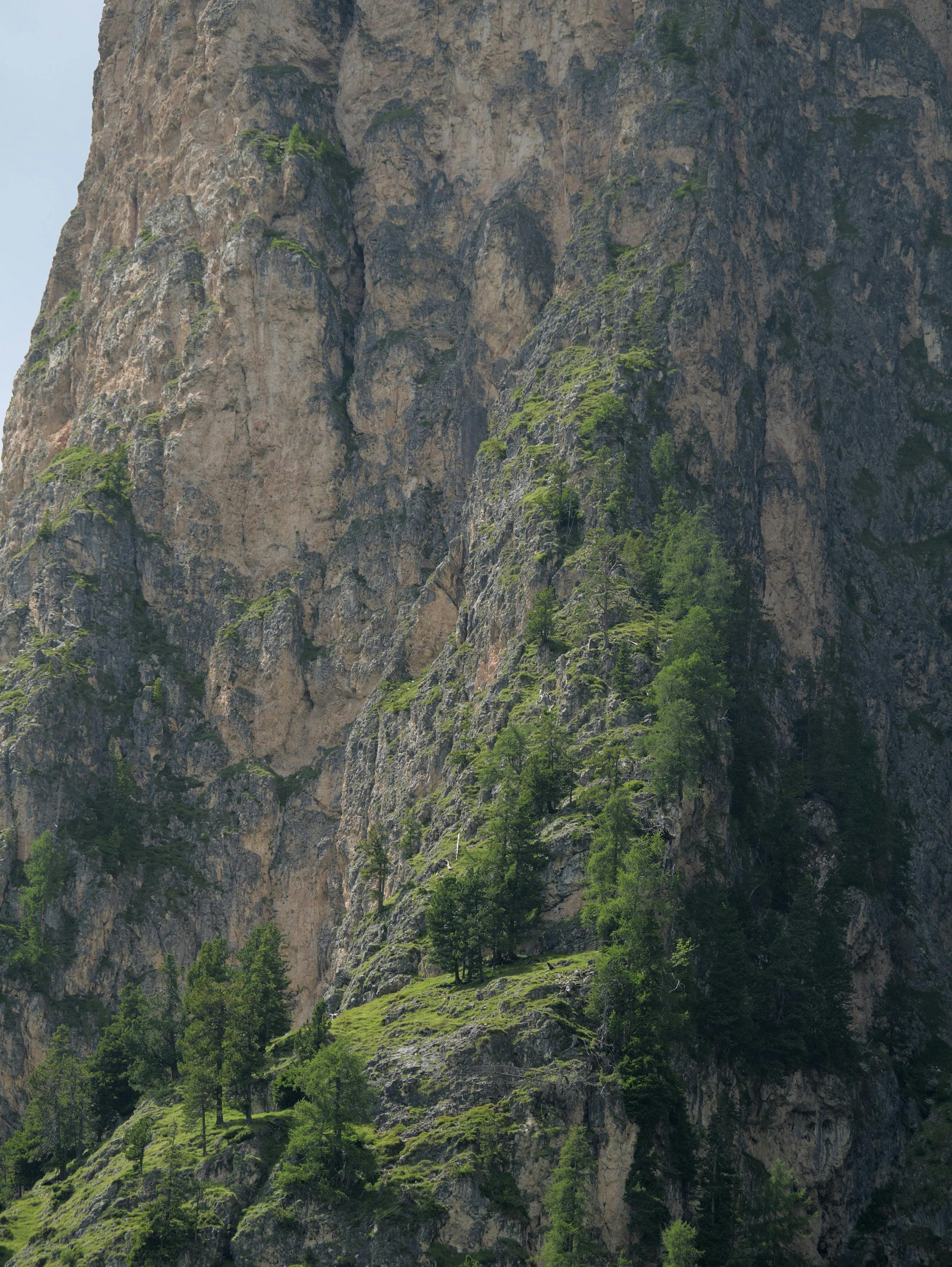 Cele mai bune 8.000+ fotografii cu tema Bocil-sd-di-iming-iming-duit-50-bokep-viral · Descărcare ...