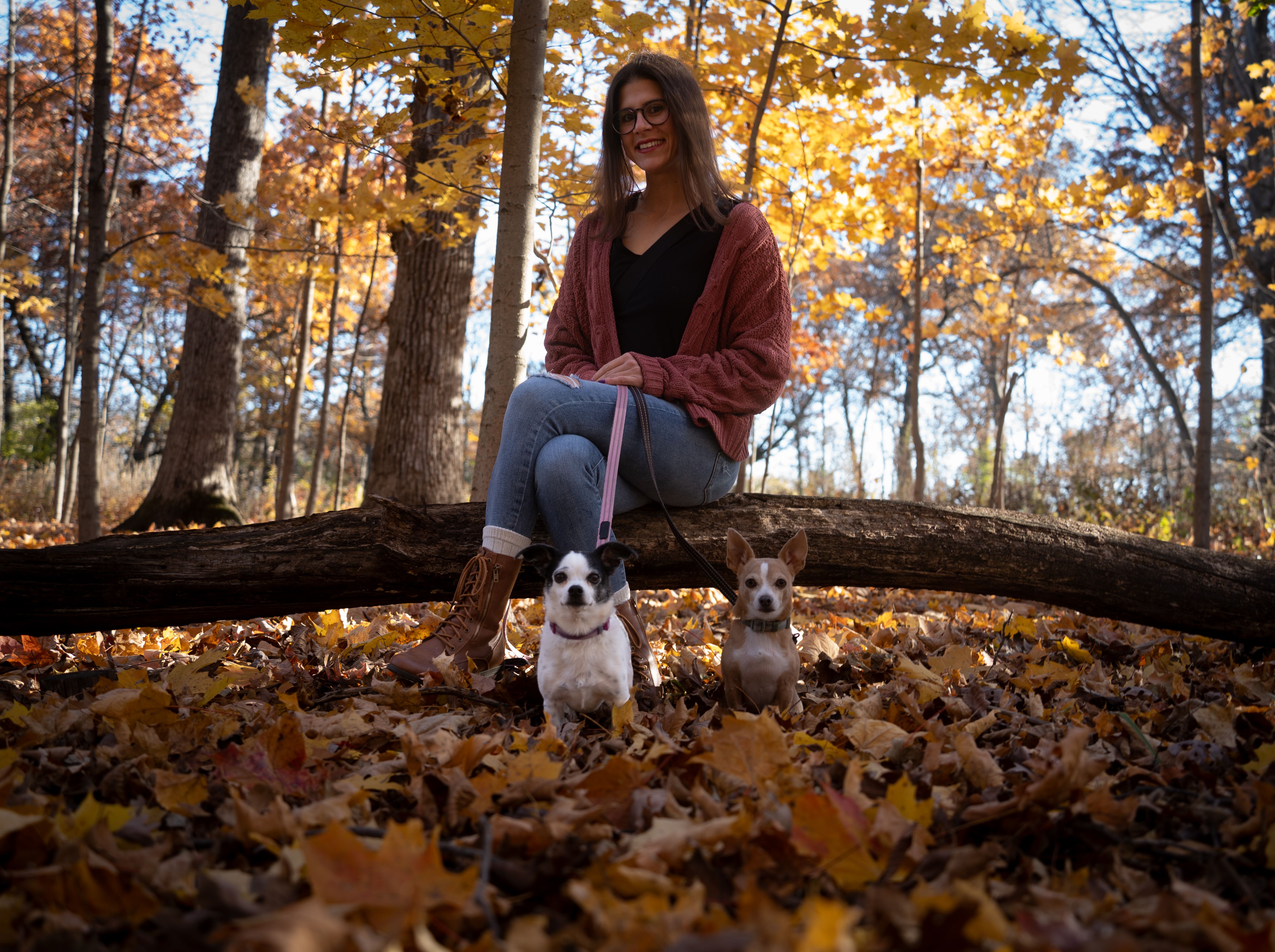 Woman with Dogs in Autumn Forest Setting · Free Stock Photo