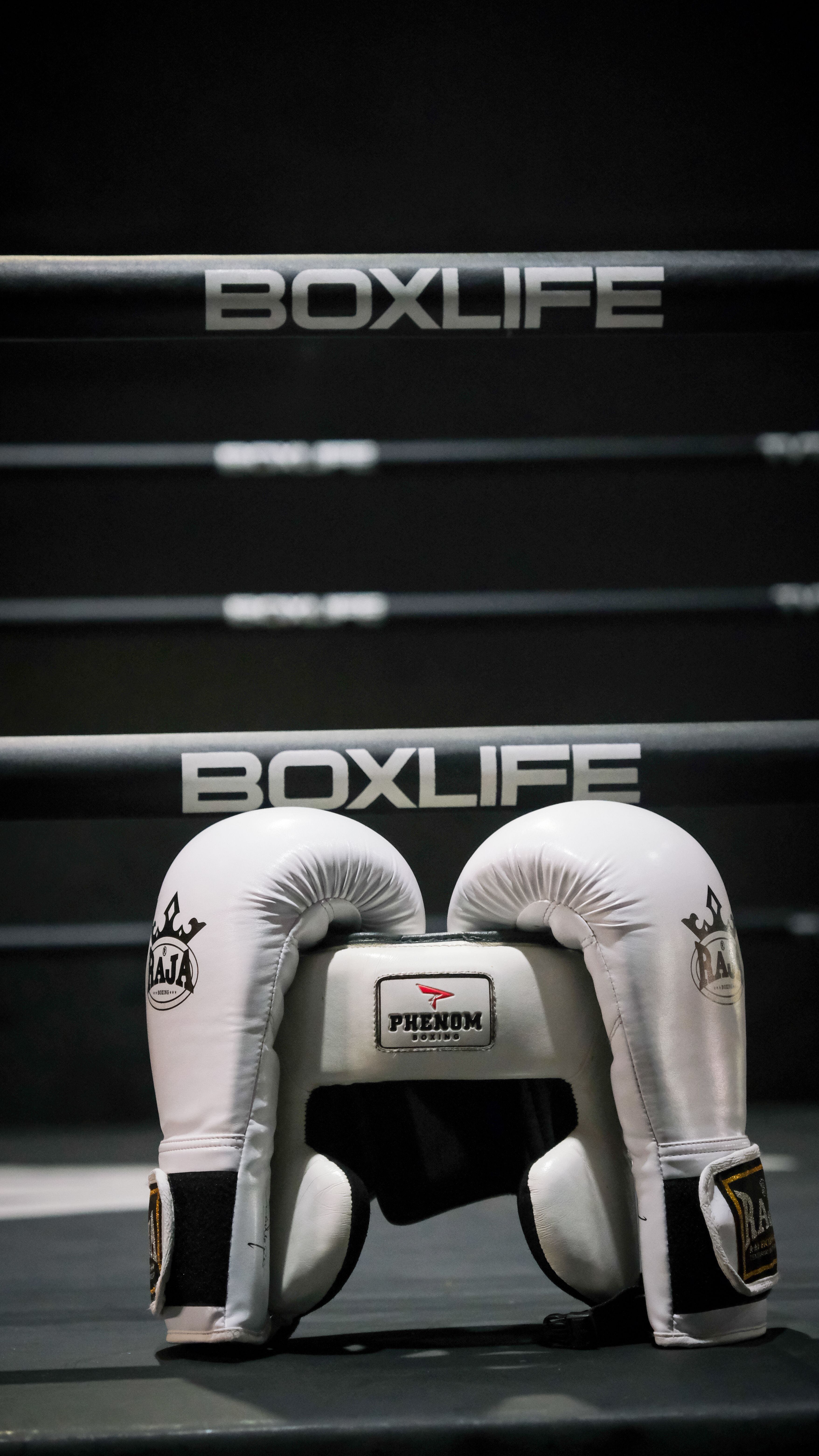 4k Boxing Wallpapers Photos, Download The BEST Free 4k Boxing ...