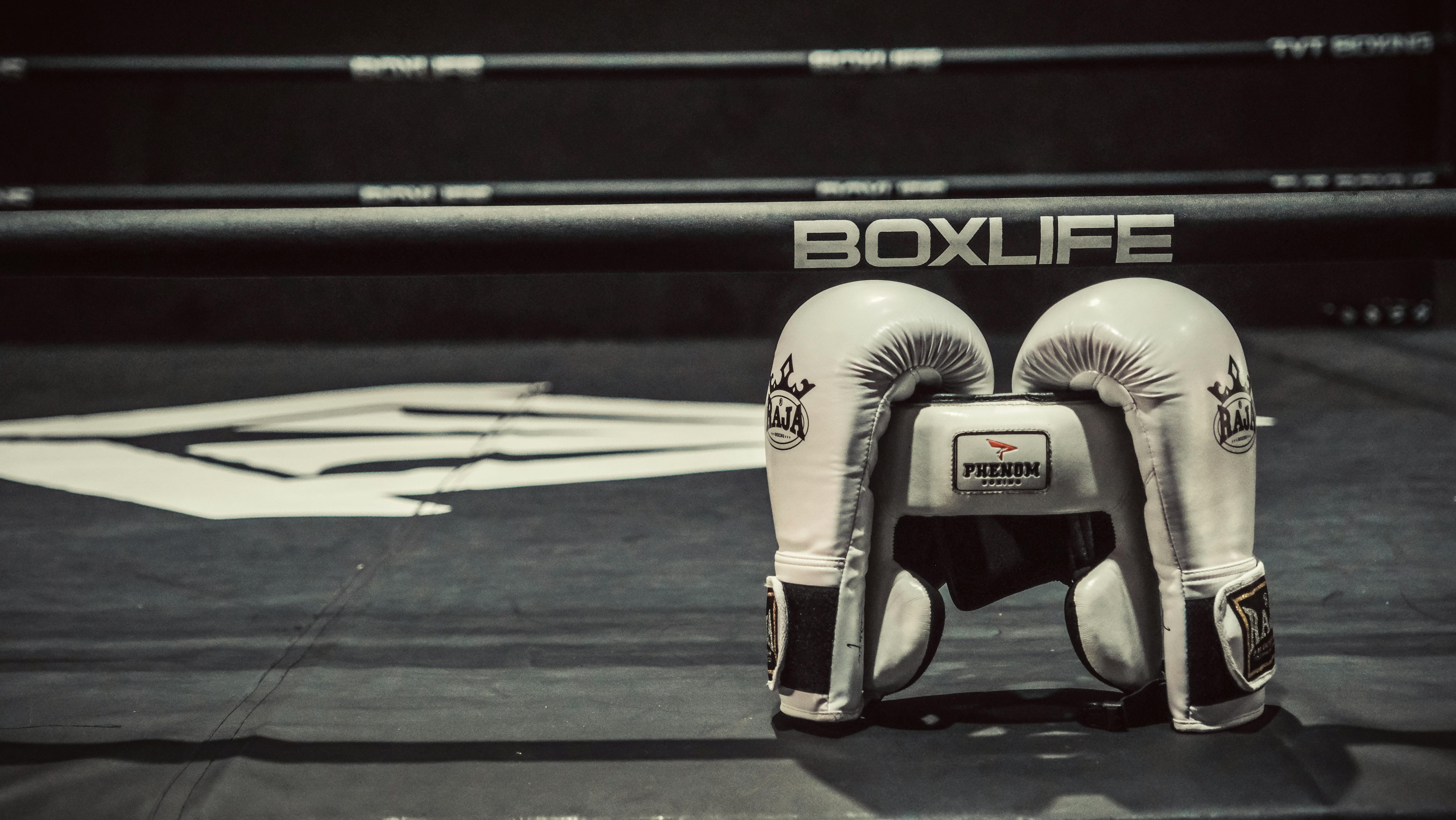 White Boxing Gloves on Boxing Ring Canvas · Free Stock Photo
