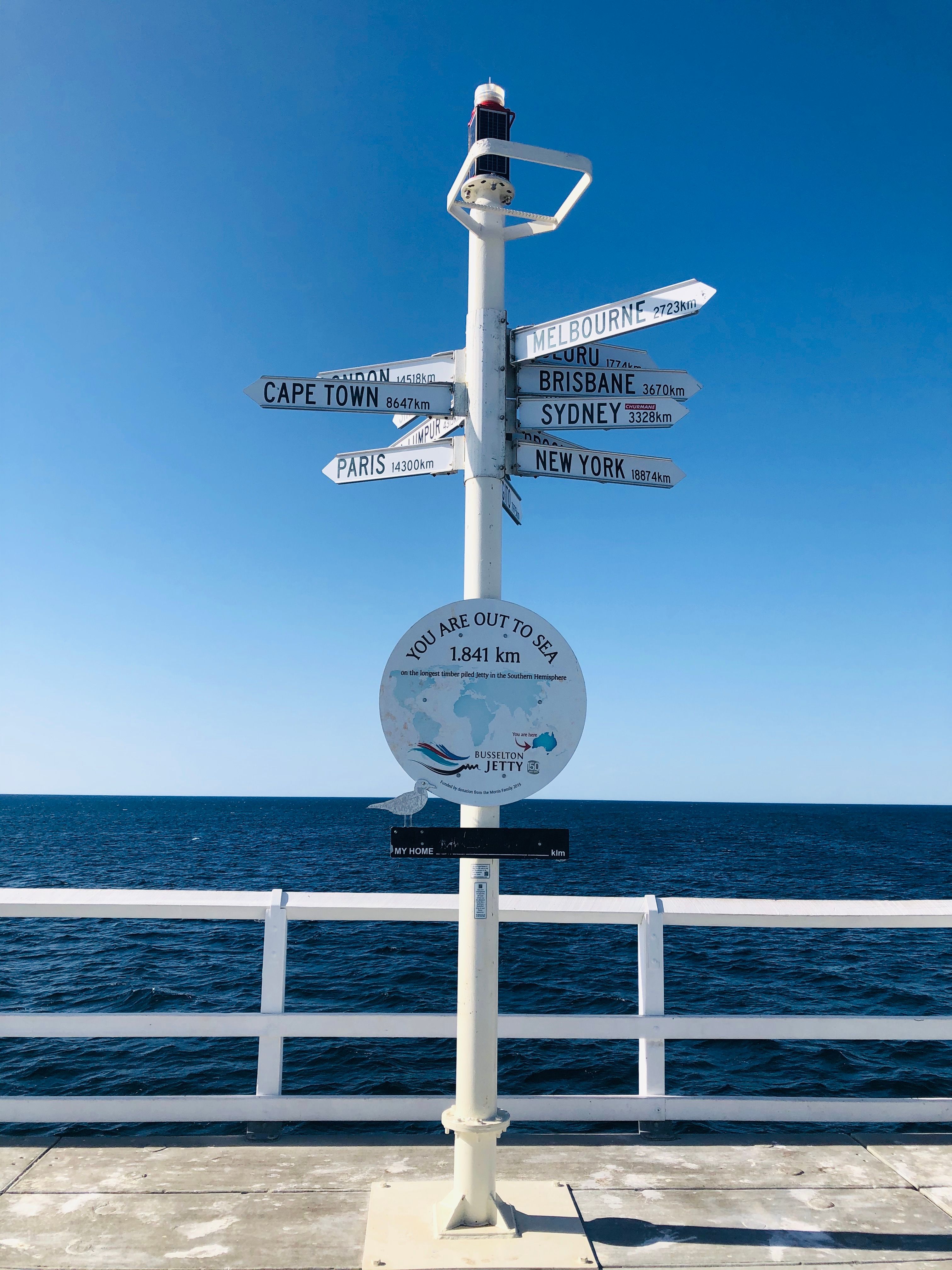 Directional Signpost Overlooking the Ocean · Free Stock Photo