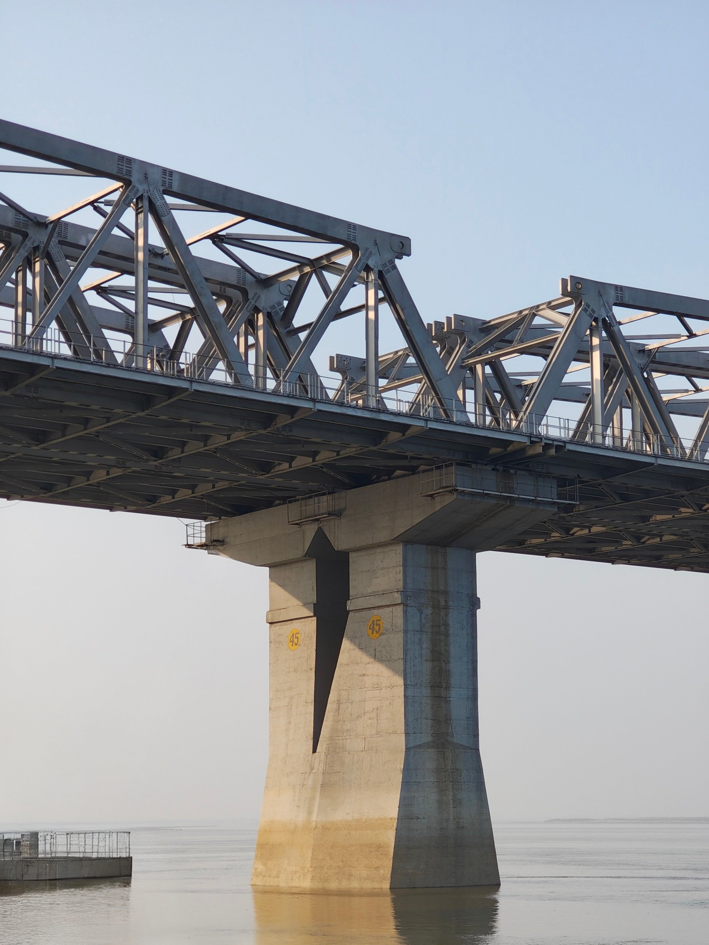 Dog Watching the River Under Flying Bridge · Free Stock Photo