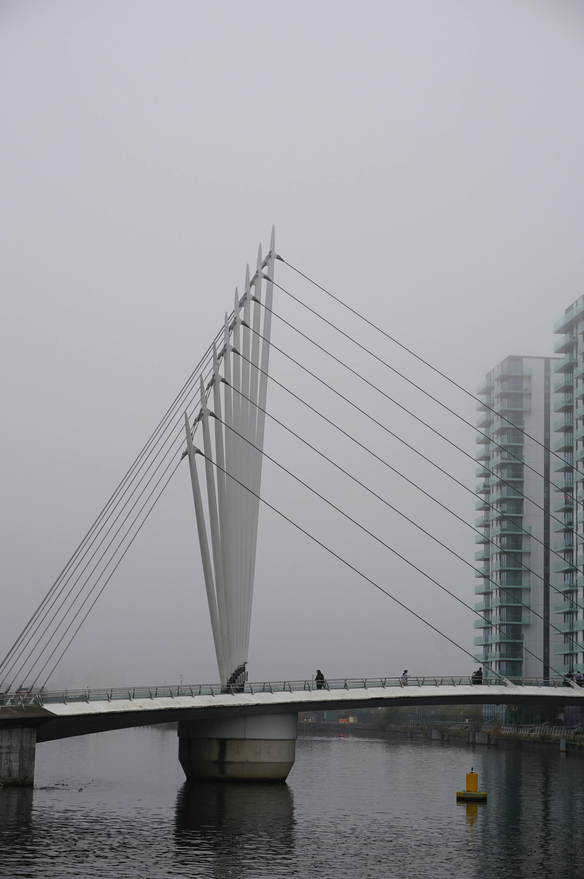 800.000+ Foto Uk-supreme-court-ruling-on-woman-definition Terbaik ...