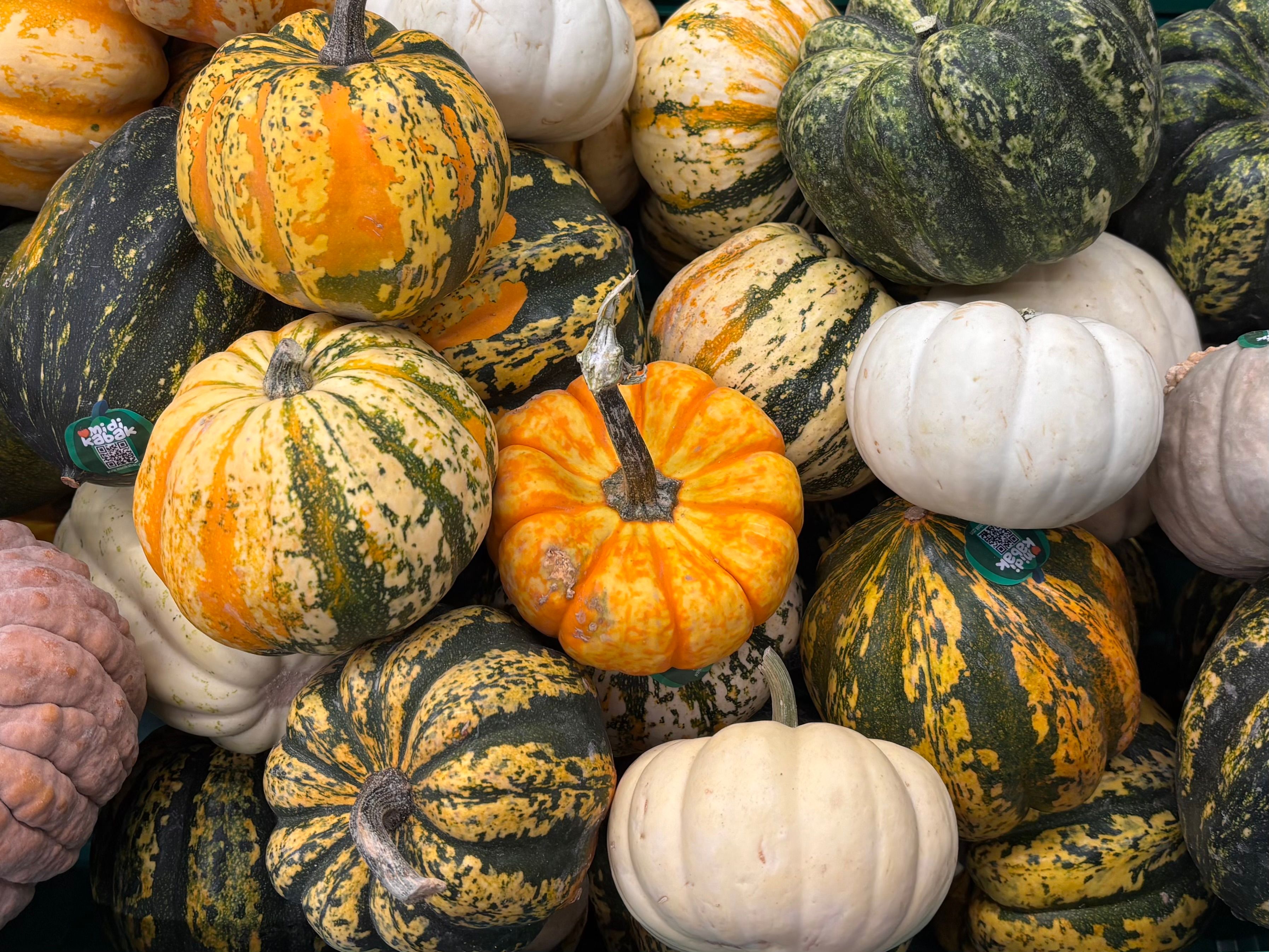Pumpkins Photos, Download The BEST Free Pumpkins Stock Photos & HD Images