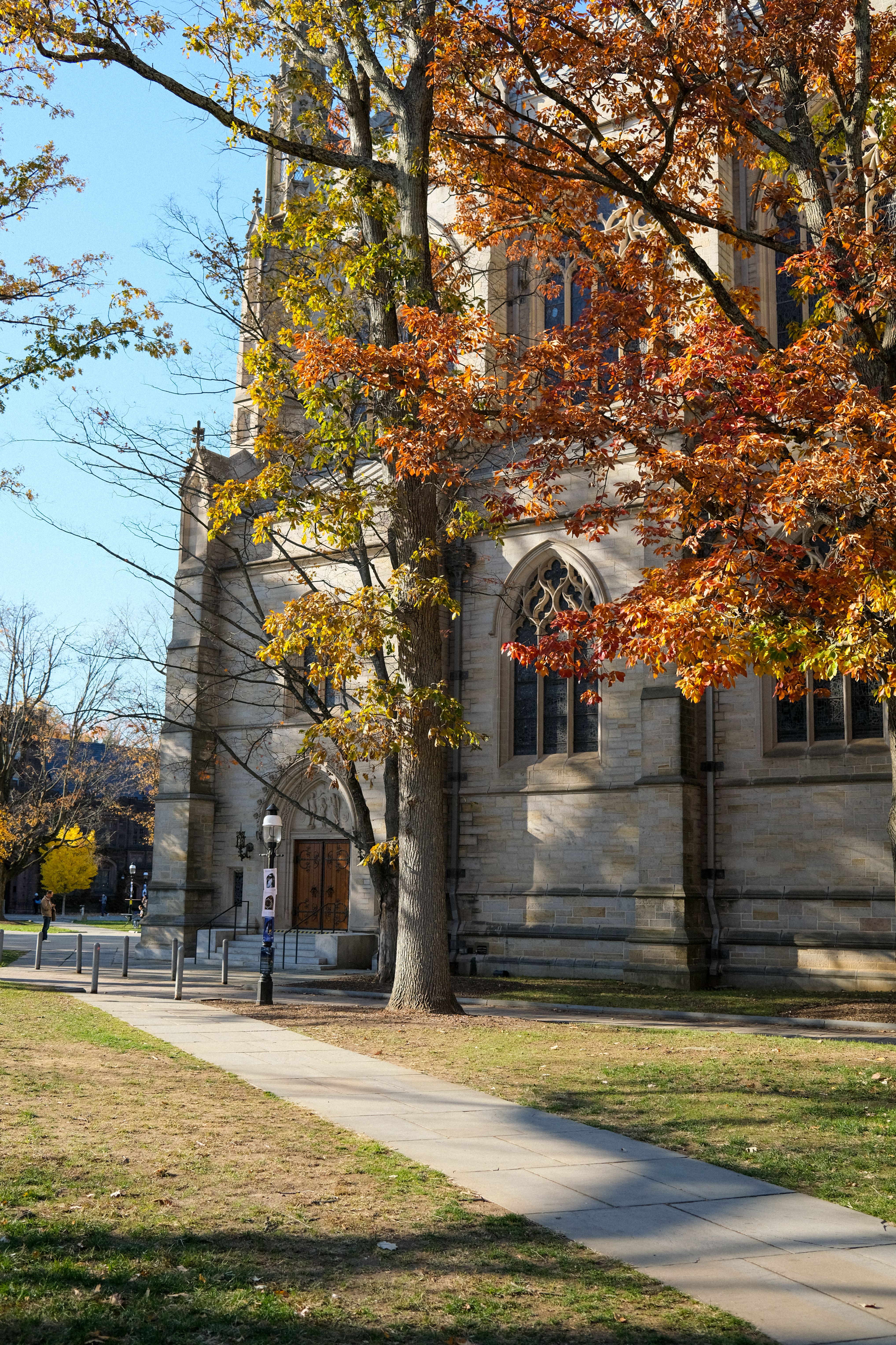 Autumn Scene at University of Connecticut Campus · Free Stock Photo