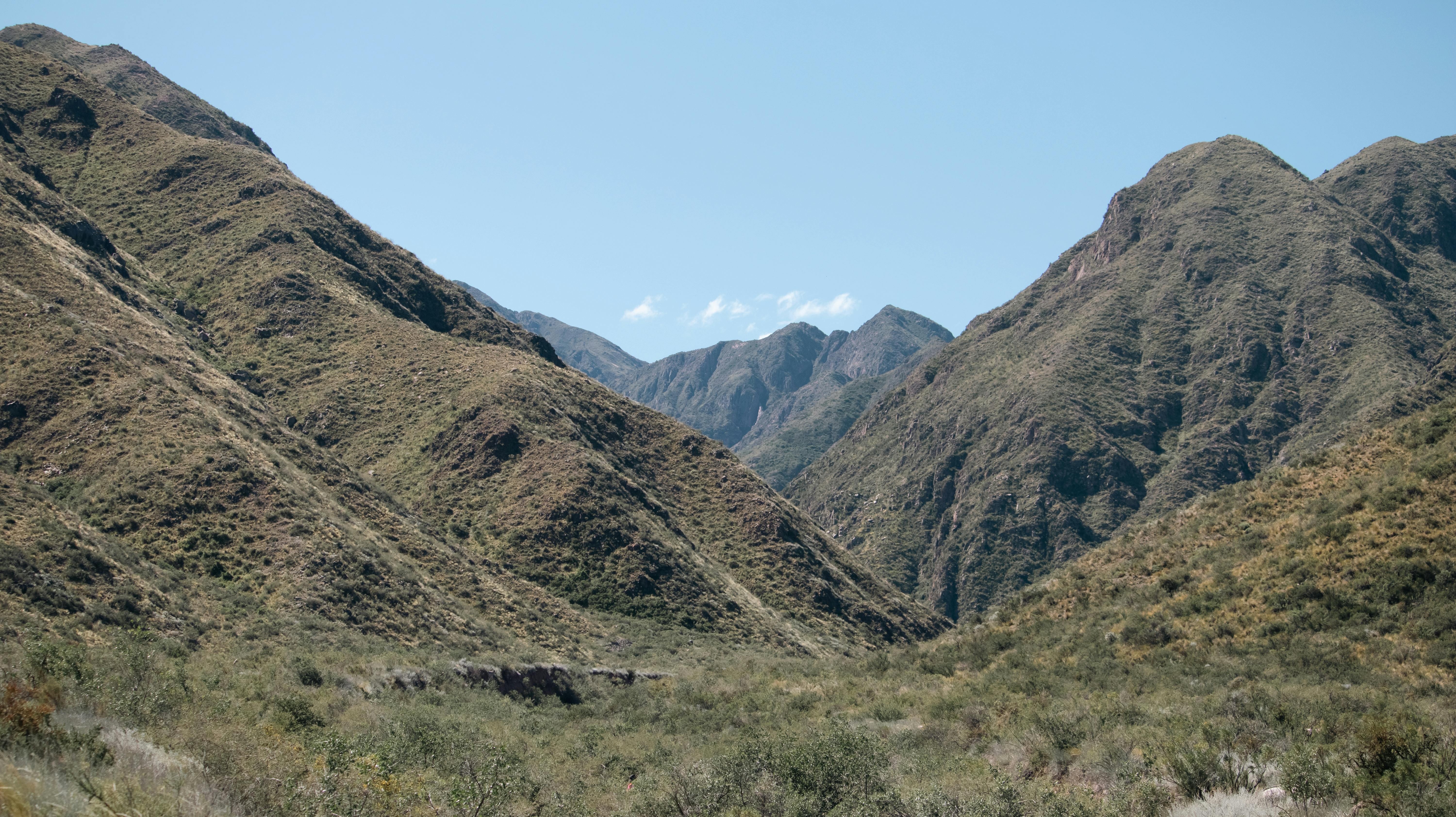 10.000+ Pinky-and-the-brain-intro Bilder und Fotos · Kostenlos ...