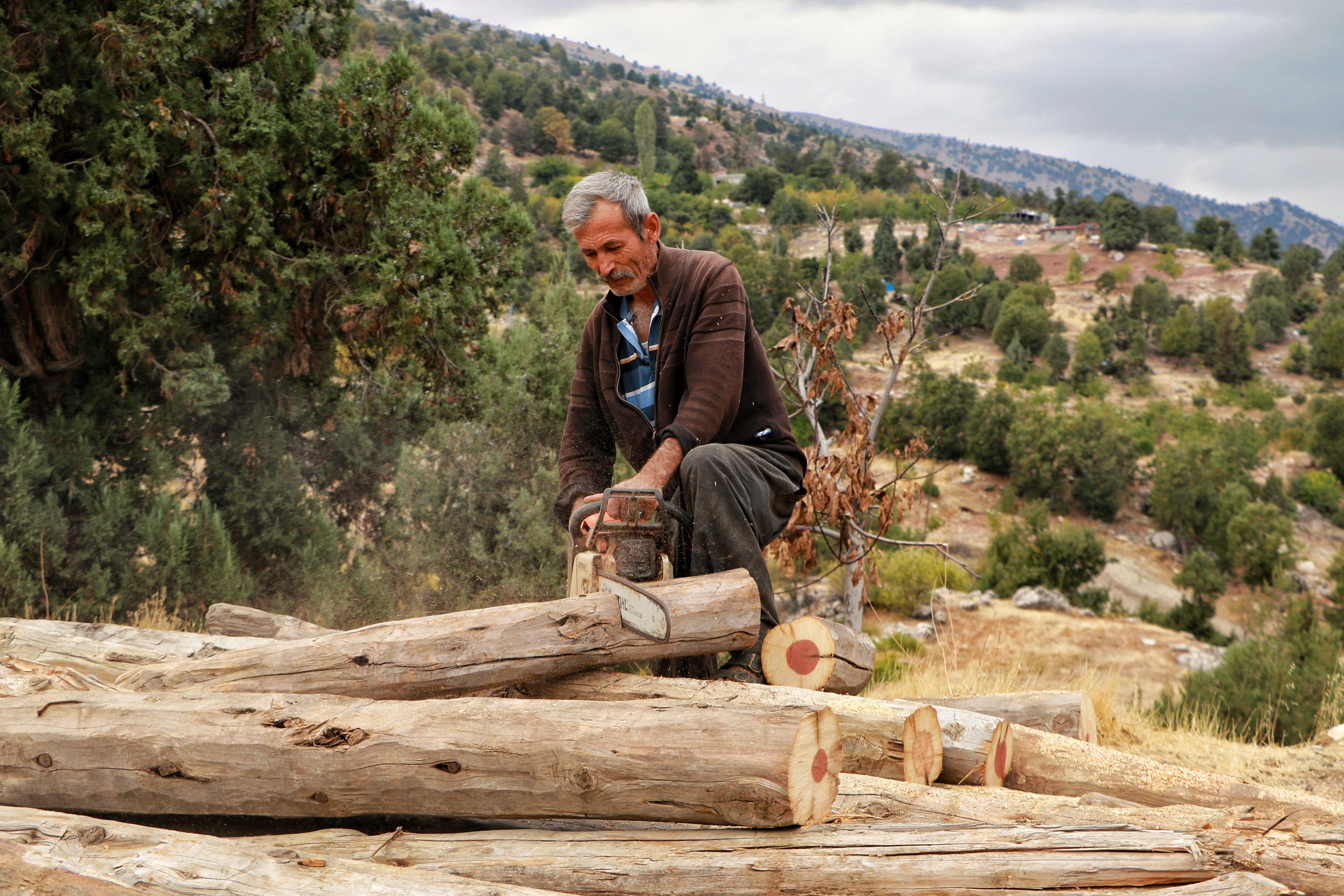 Elderly Man Cutting Logs in Forested Mountain Area · Free Stock Photo