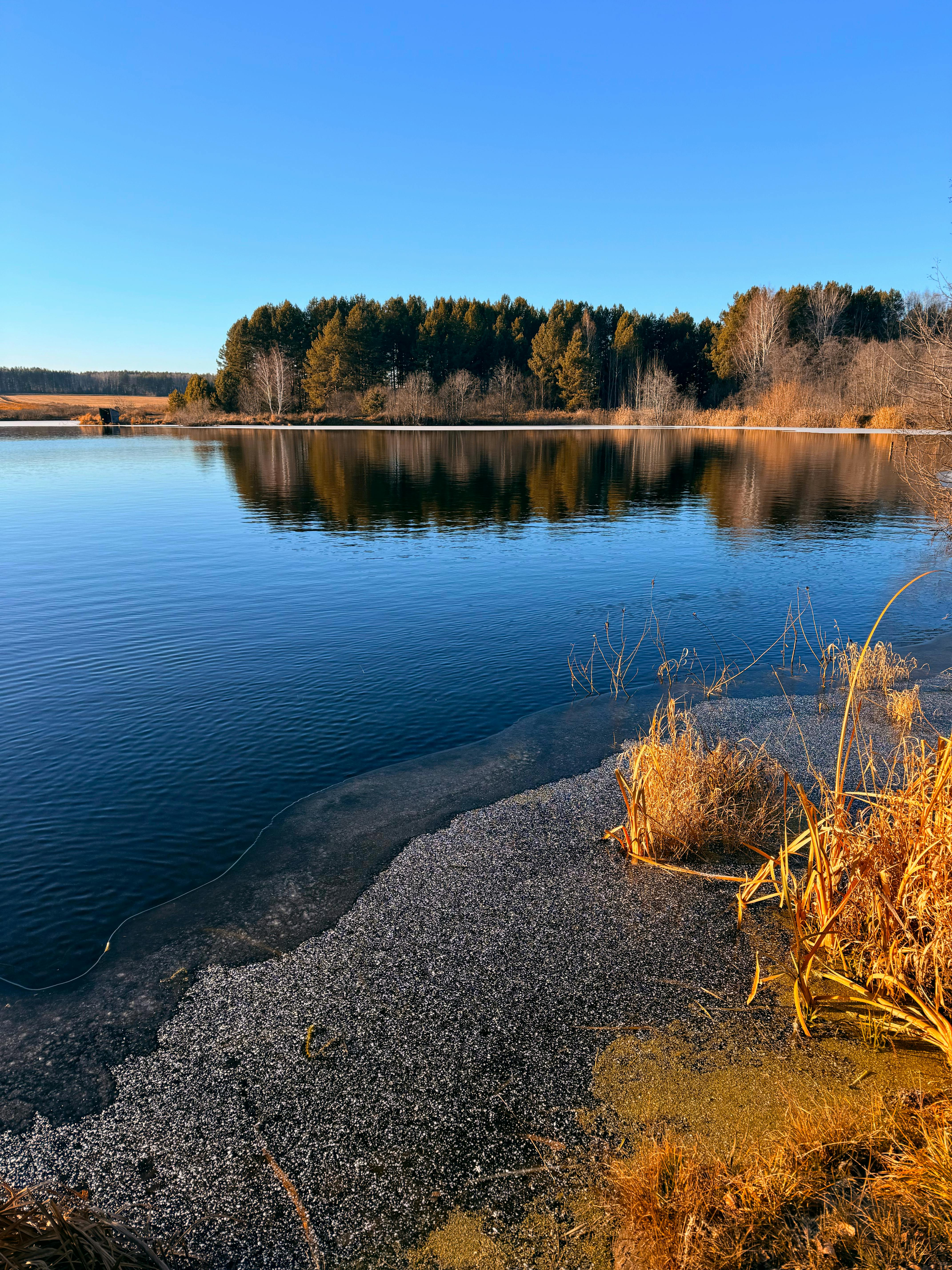 10 000+ Fakta-terungkap-gisel-dan-nobu-berhubungan-dan-rekam-video-lebih-dari banque d’images et ...
