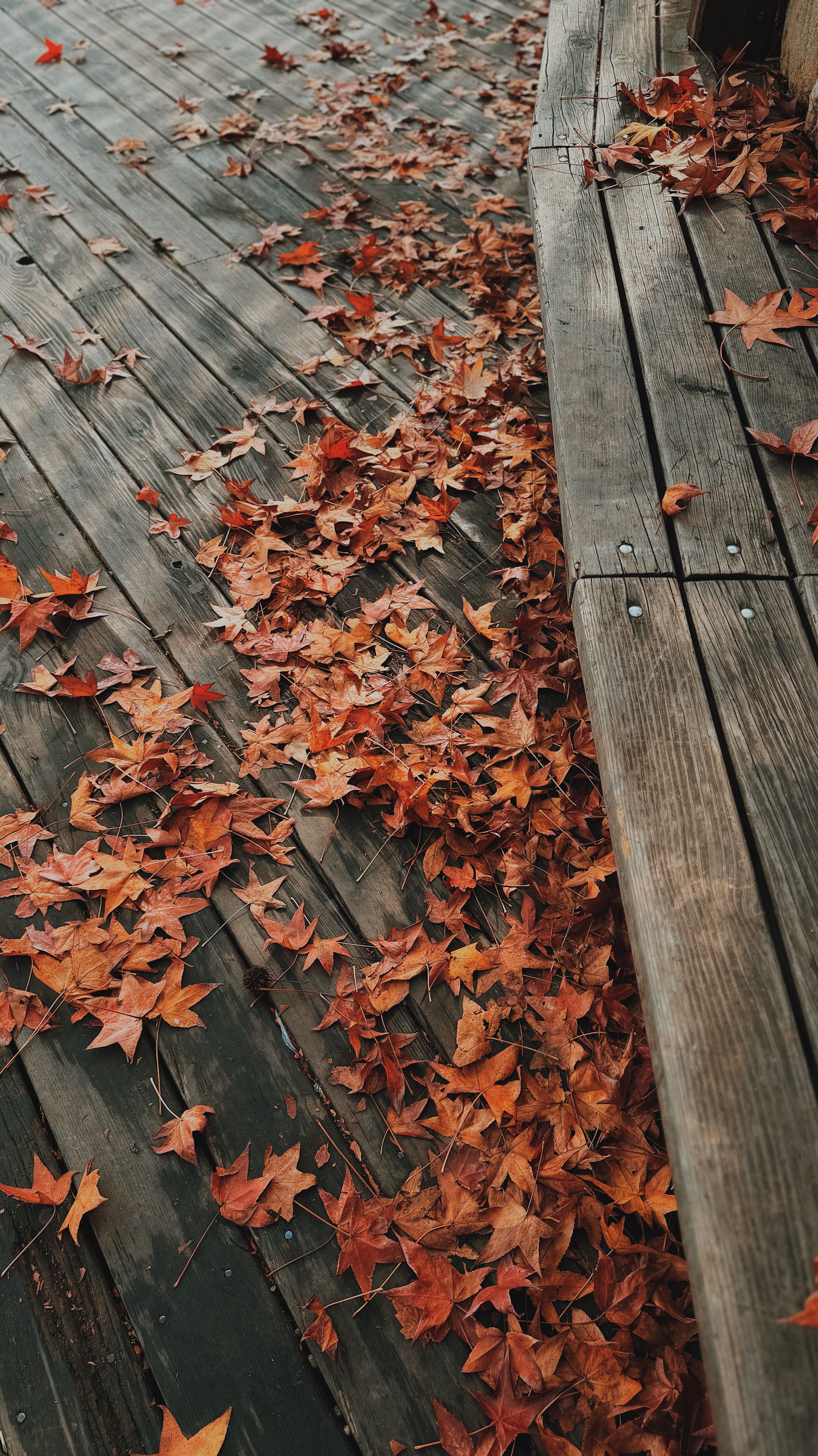 Rustic Wooden Deck with Autumn Leaves · Free Stock Photo