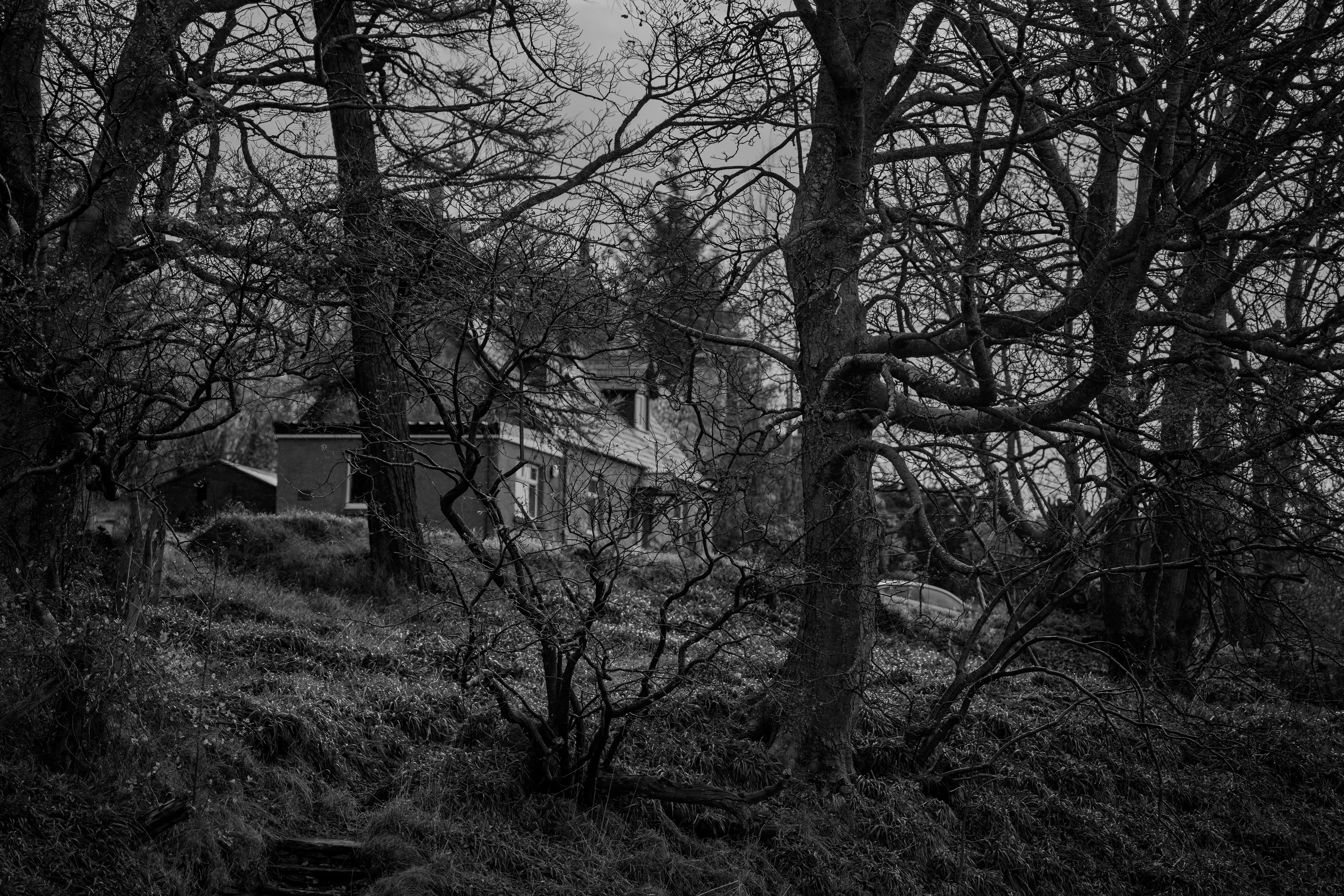 Mysterious Abandoned House in Forest Landscape · Free Stock Photo