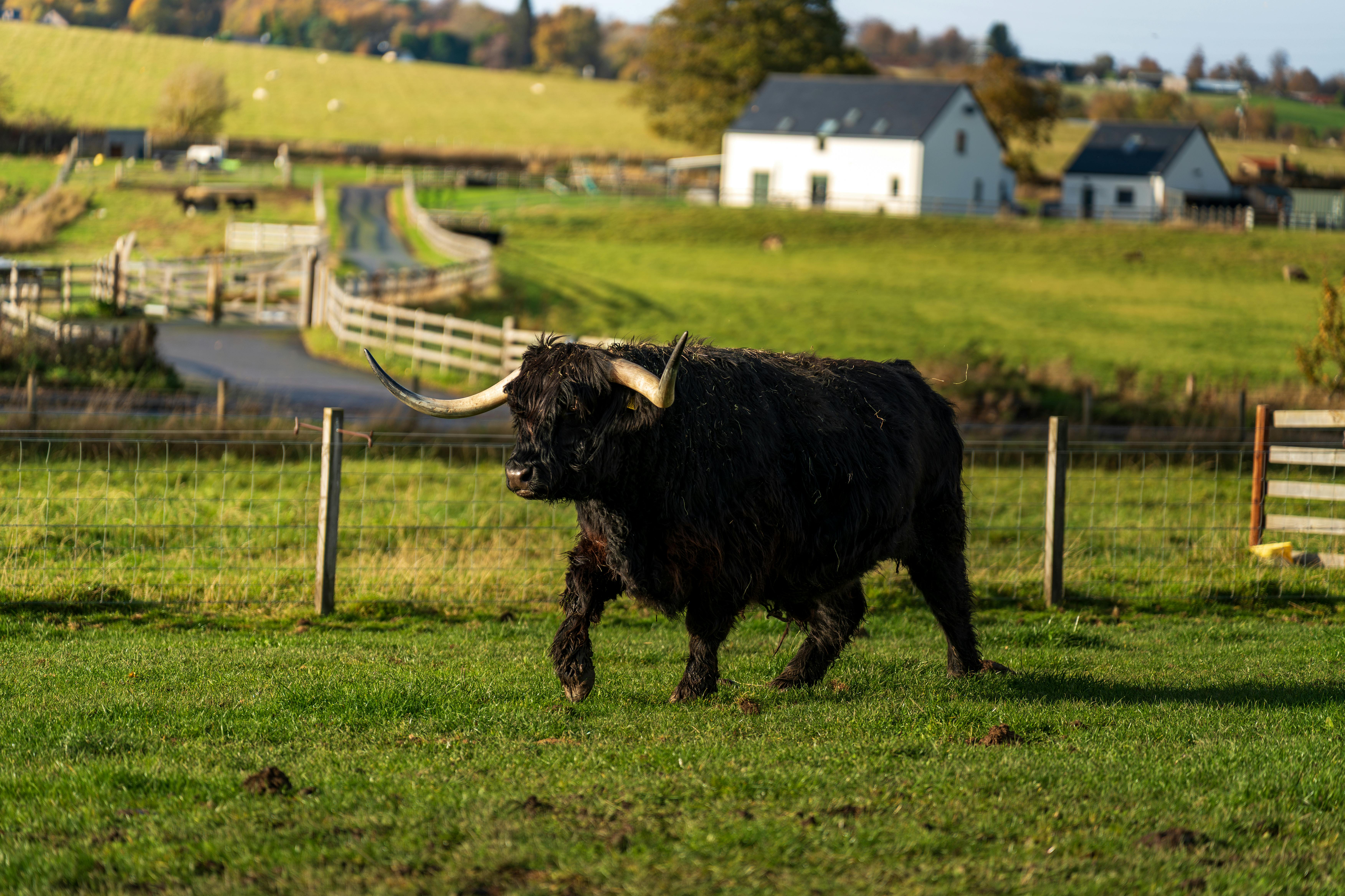 Farm Field Uk Photos, Download The BEST Free Farm Field Uk Stock Photos ...