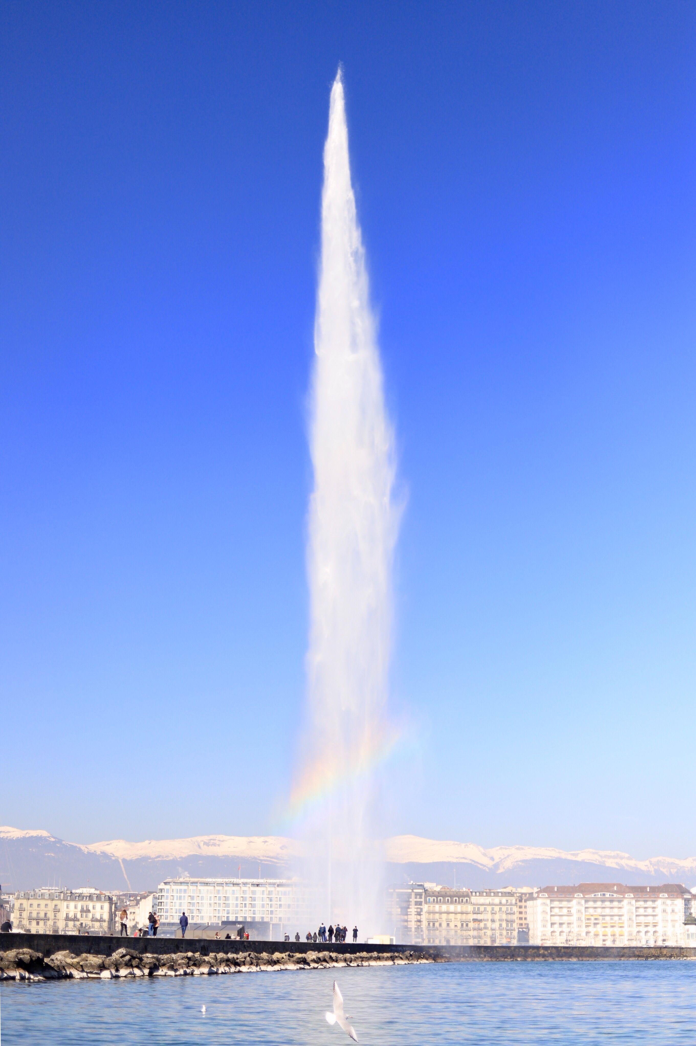 Geneva Icon Photos, Download The BEST Free Geneva Icon Stock Photos ...