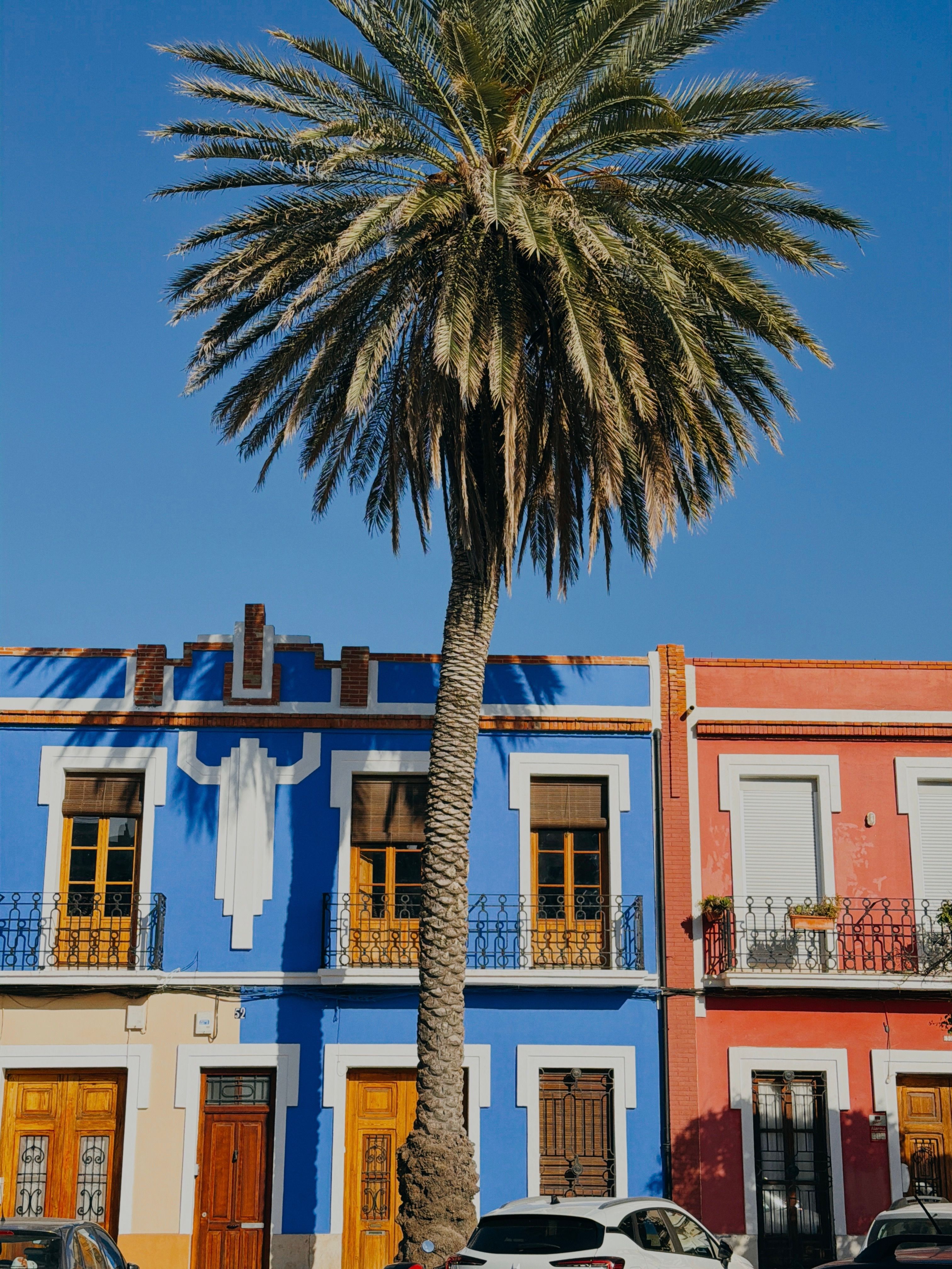 Colorful Spanish Architecture with Palm Tree · Free Stock Photo