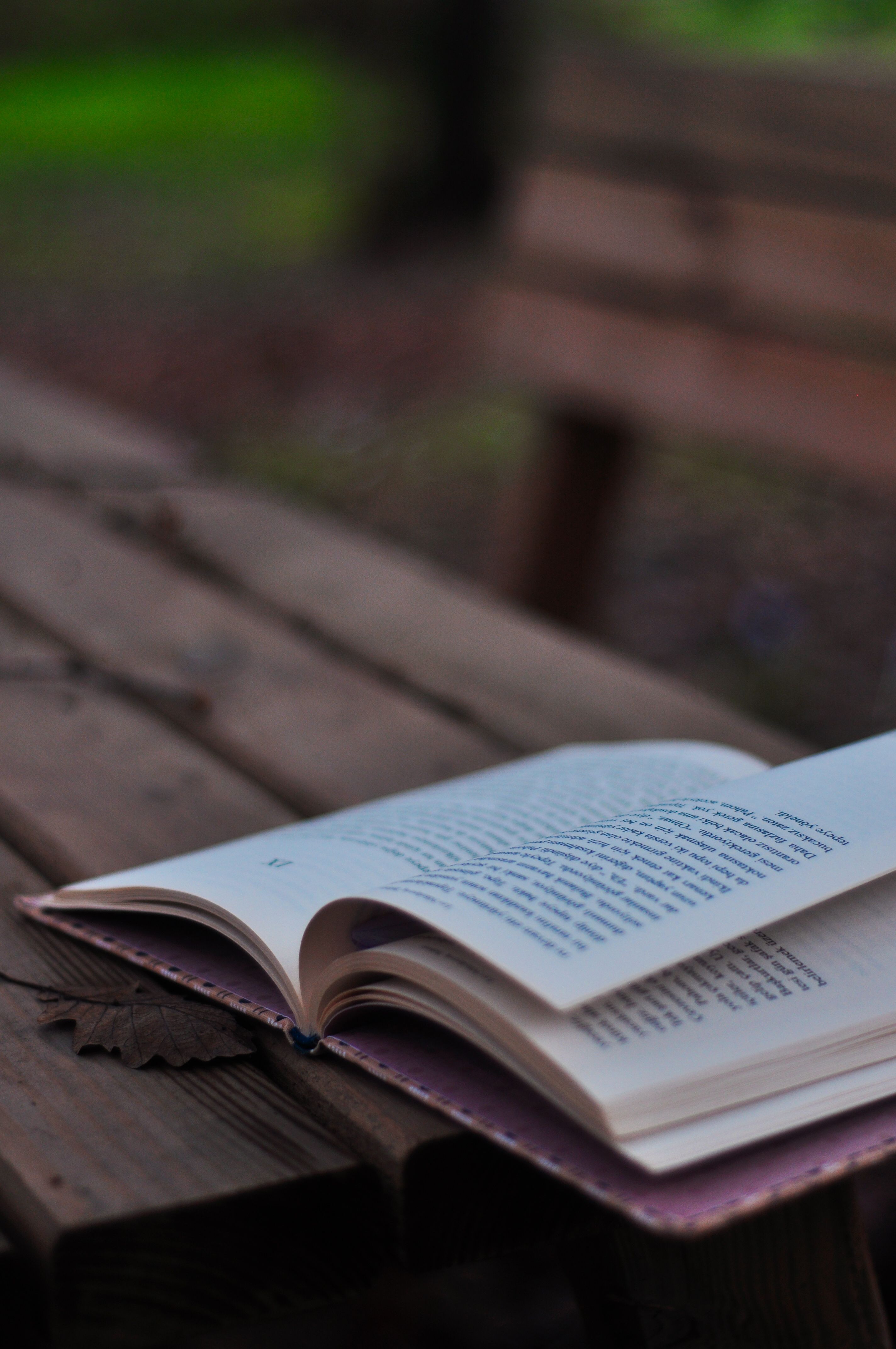 Reading Background Photos, Download The BEST Free Reading Background ...
