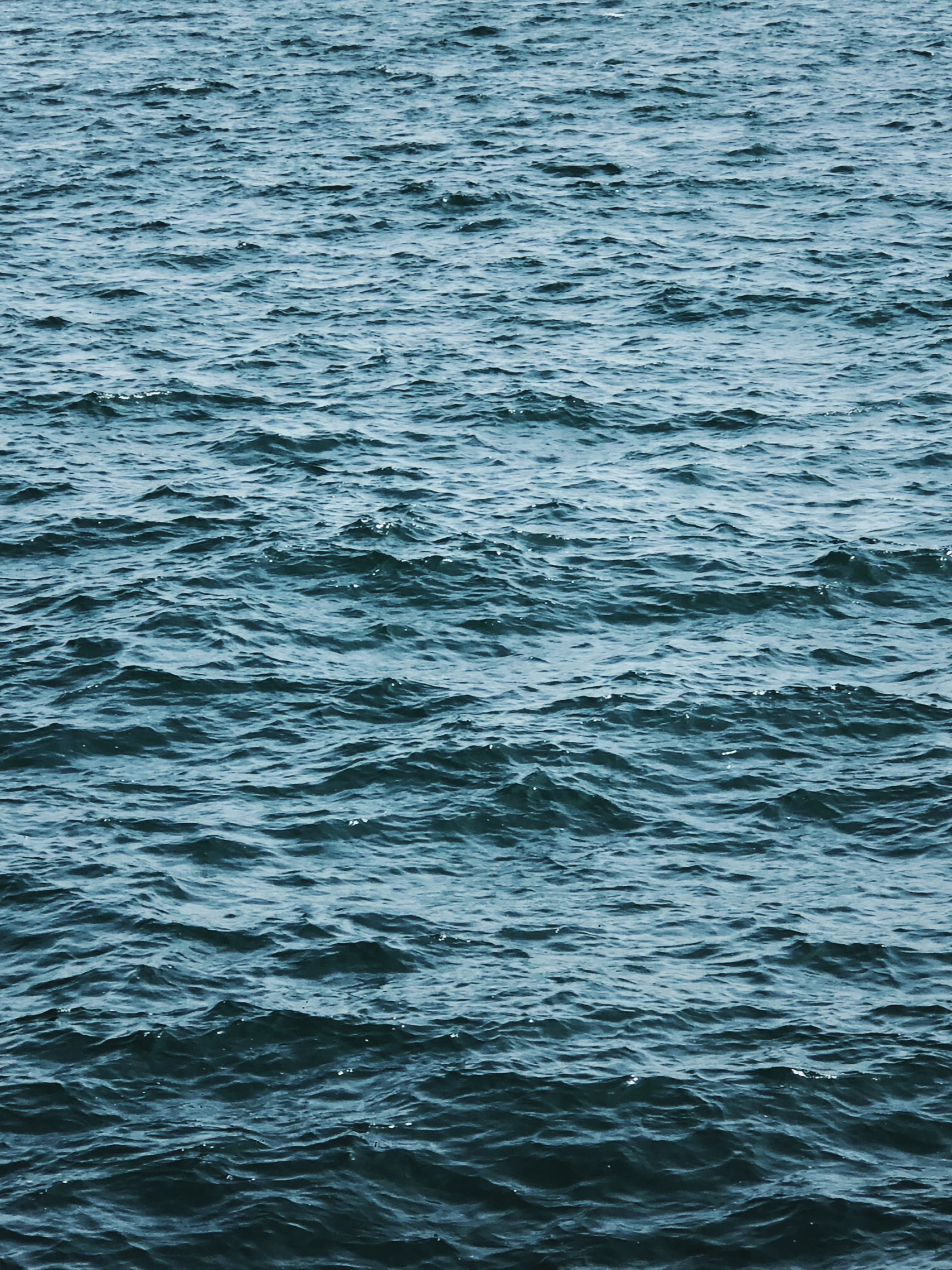Calm Ocean Waves Under Daylight · Free Stock Photo