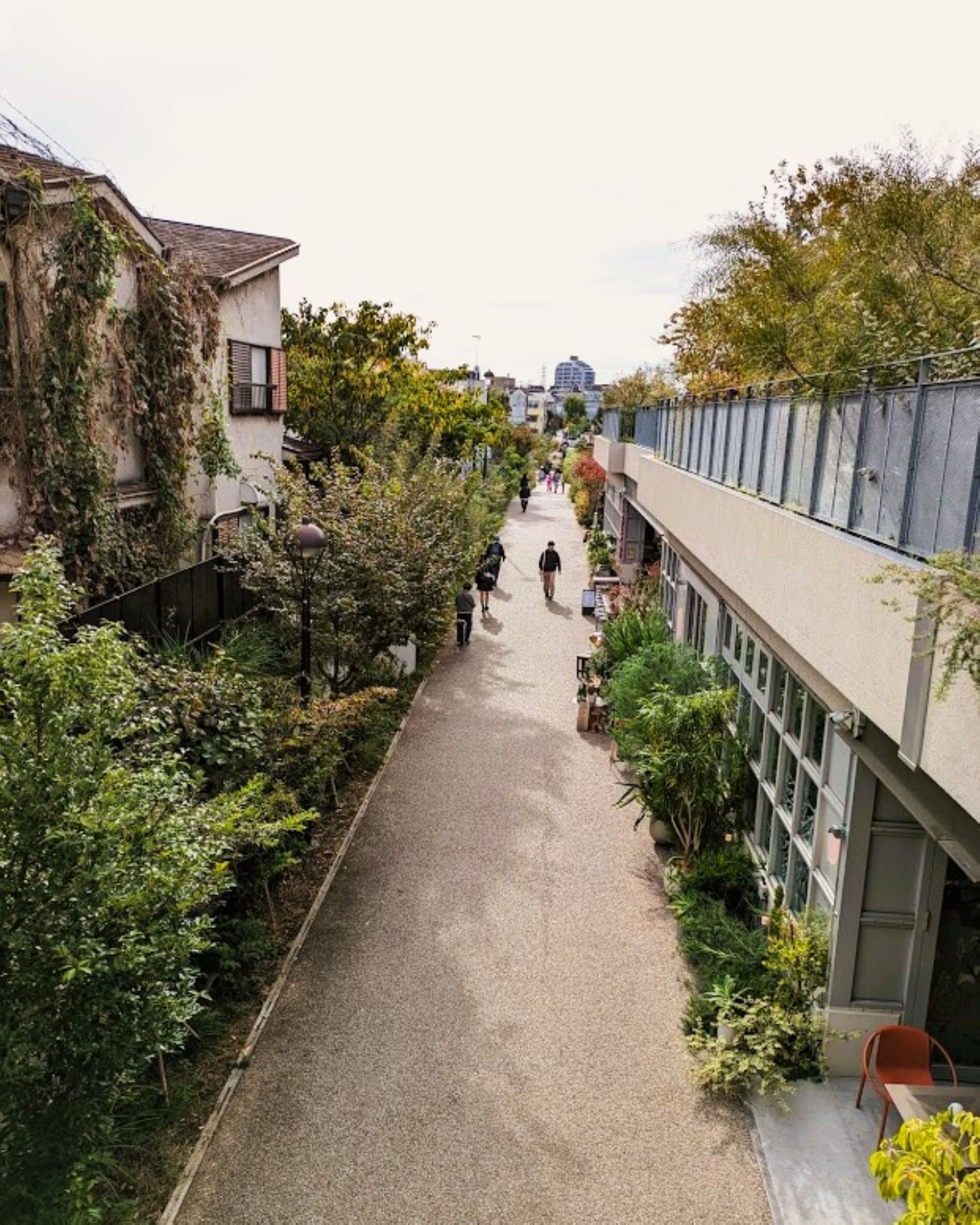 Scenic Walkway in Setagaya, Tokyo · Free Stock Photo