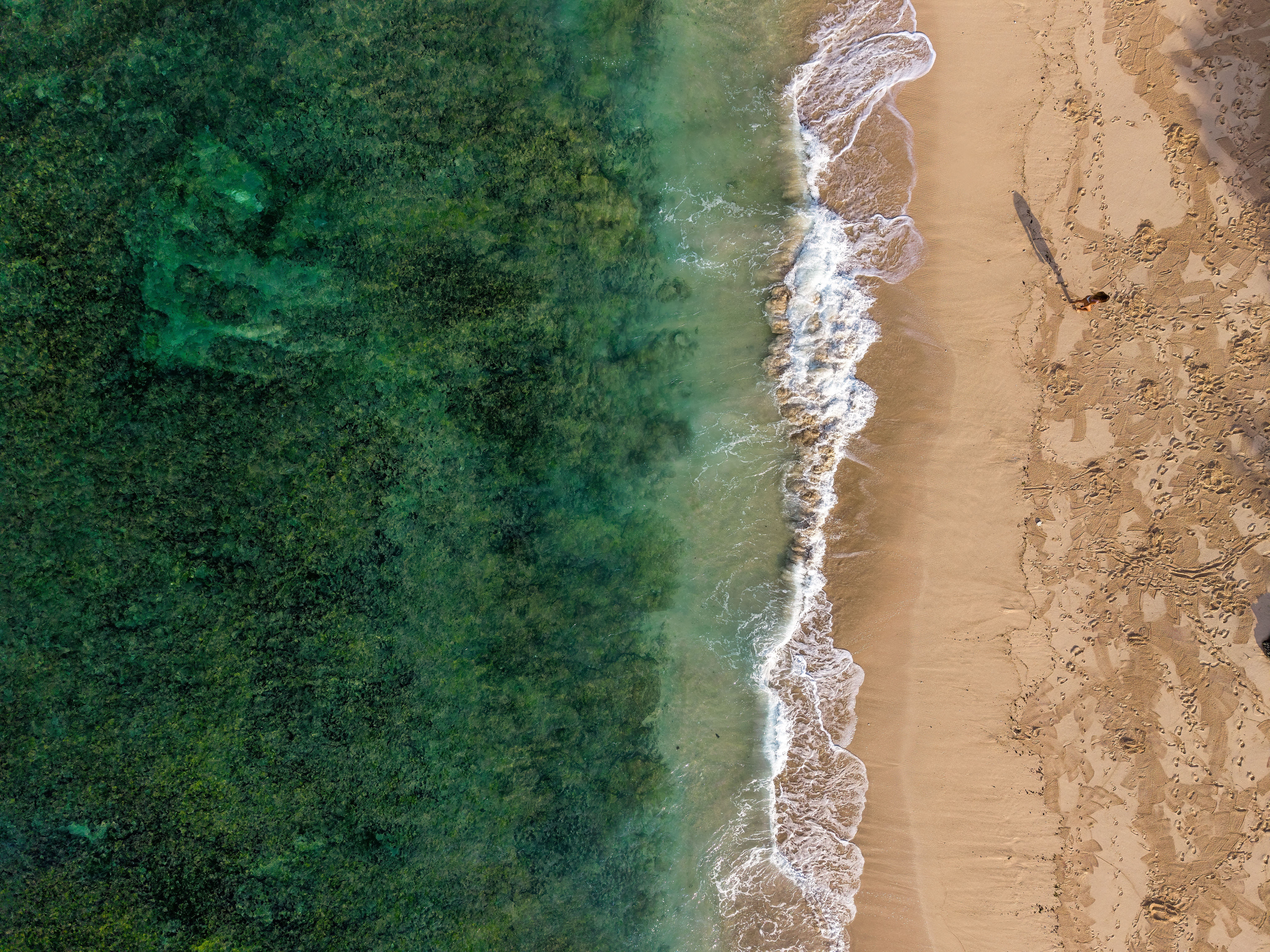 Aerial View of Scenic Bali Beach Shoreline · Free Stock Photo