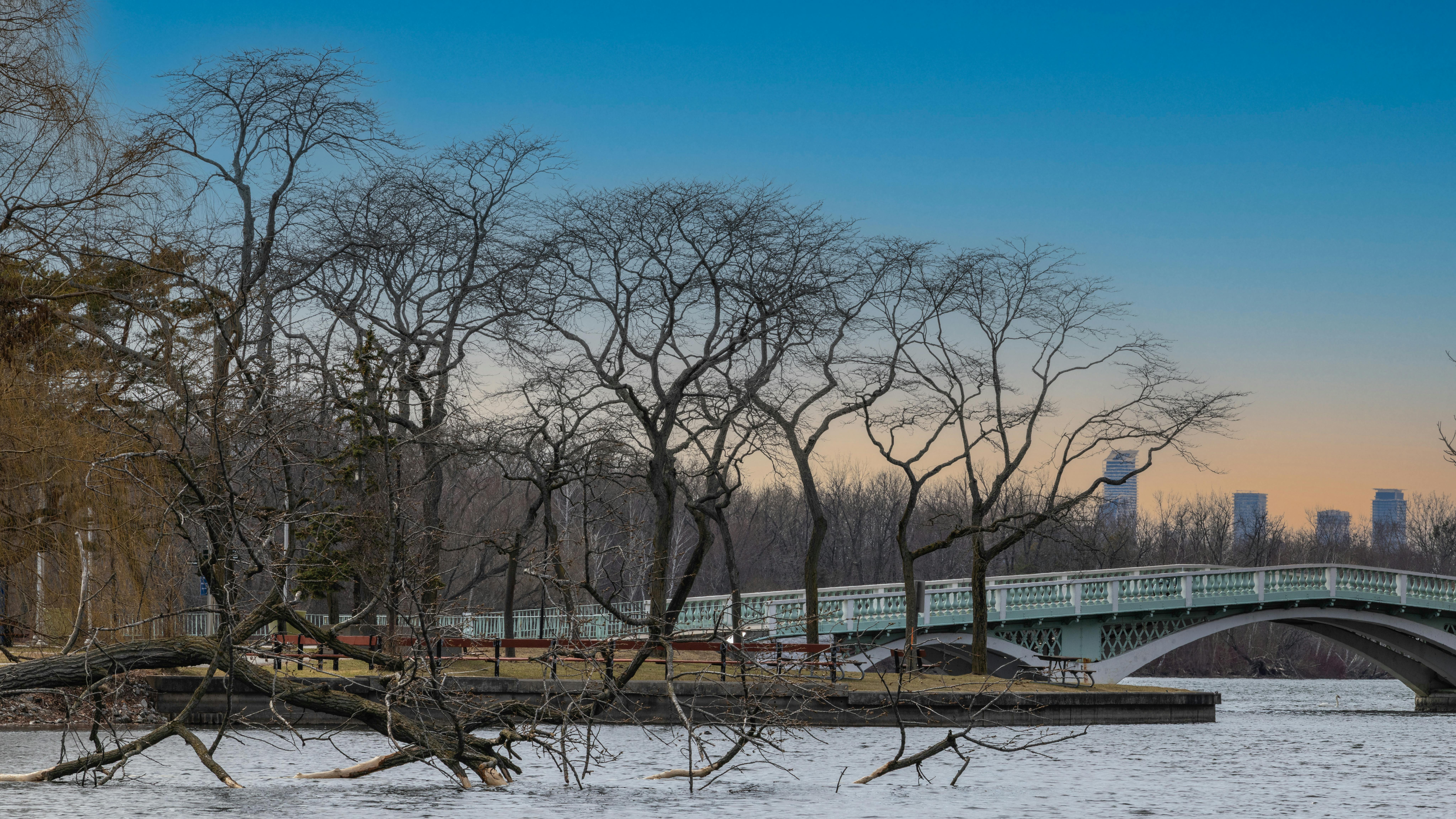 1 000 000+ najlepszych zdjęć z kategorii: Mindy-collins-top-10-most ...