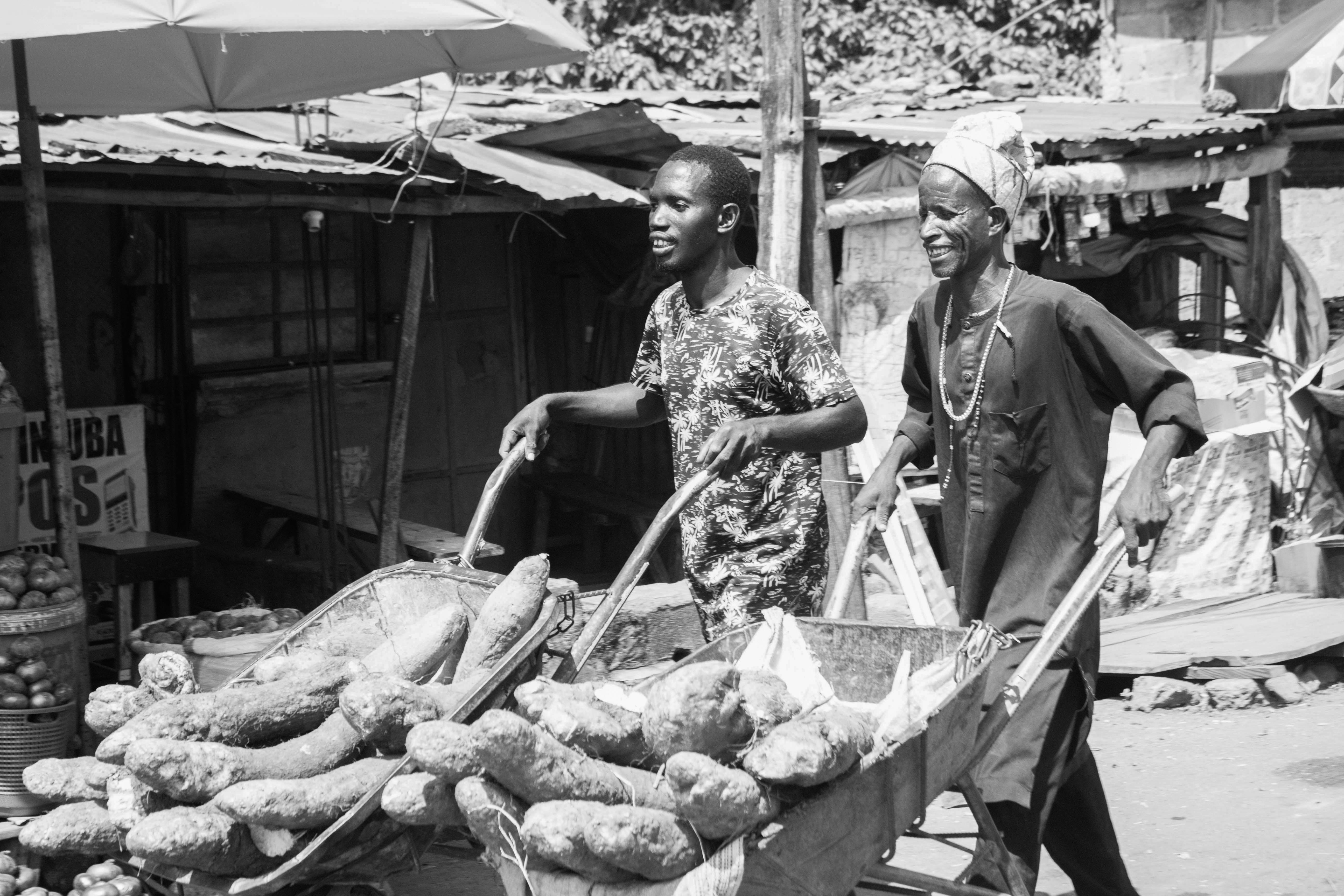 Yam Photos, Download The BEST Free Yam Stock Photos & HD Images